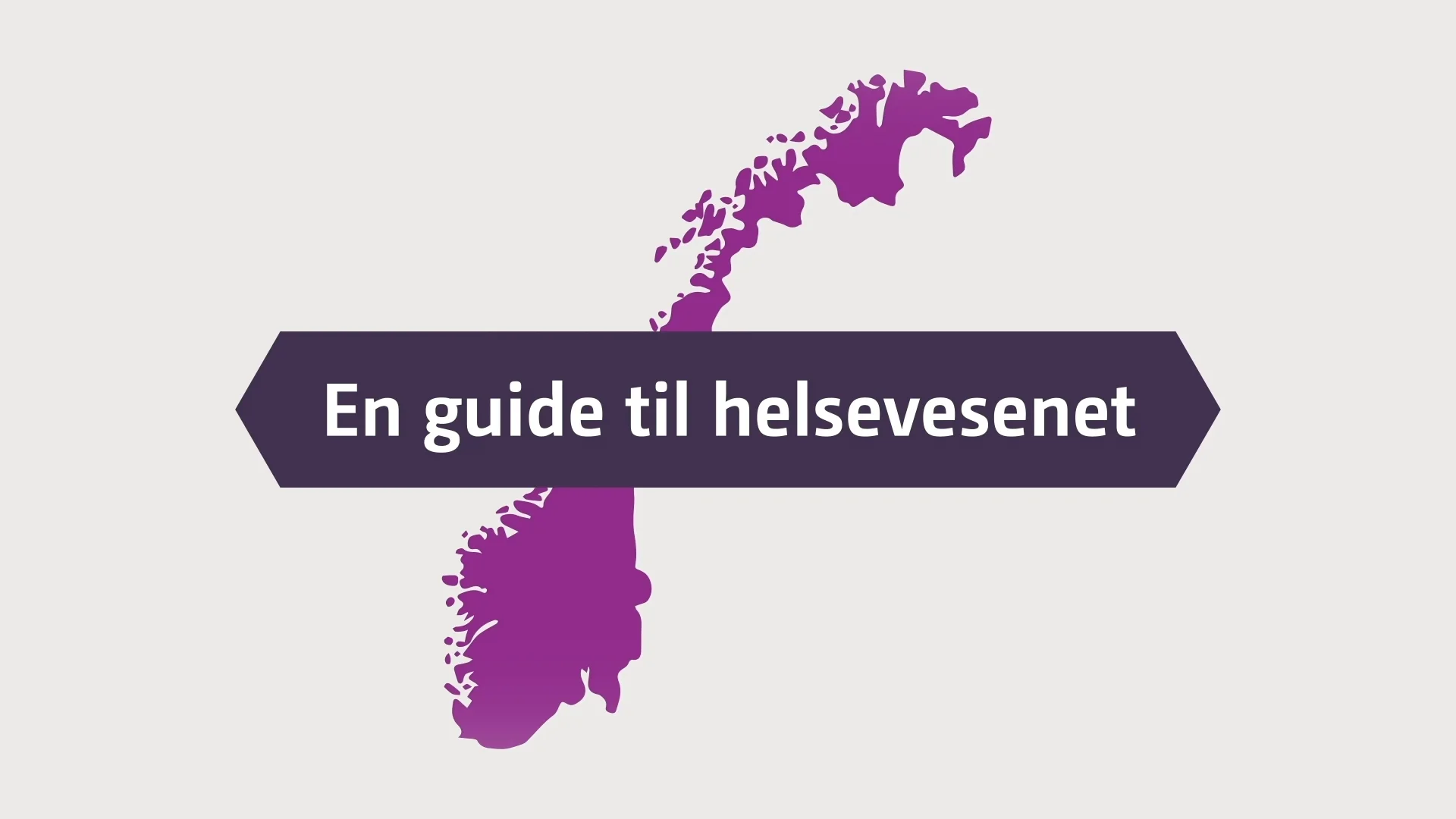 Guide til helsevesenet - norsk