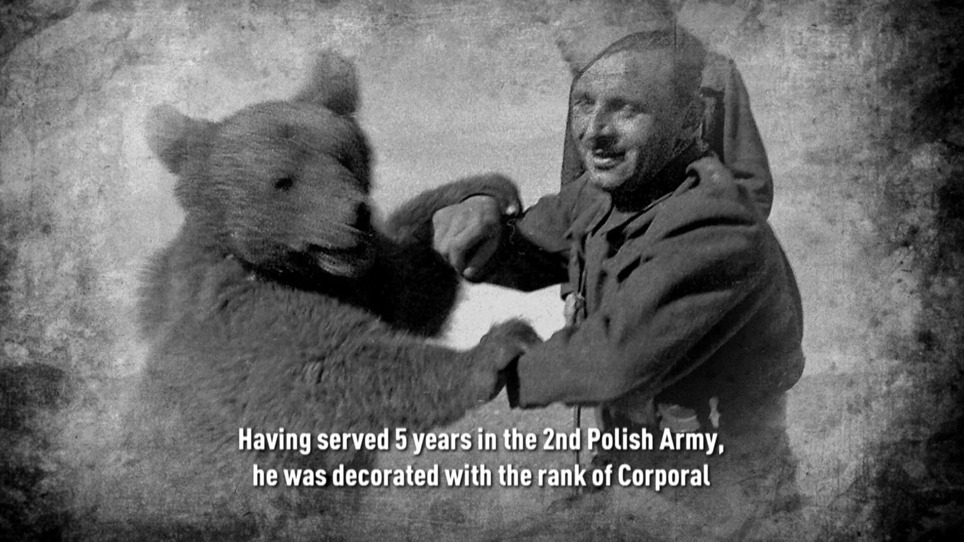 Wojtek - The Bear That Went To War