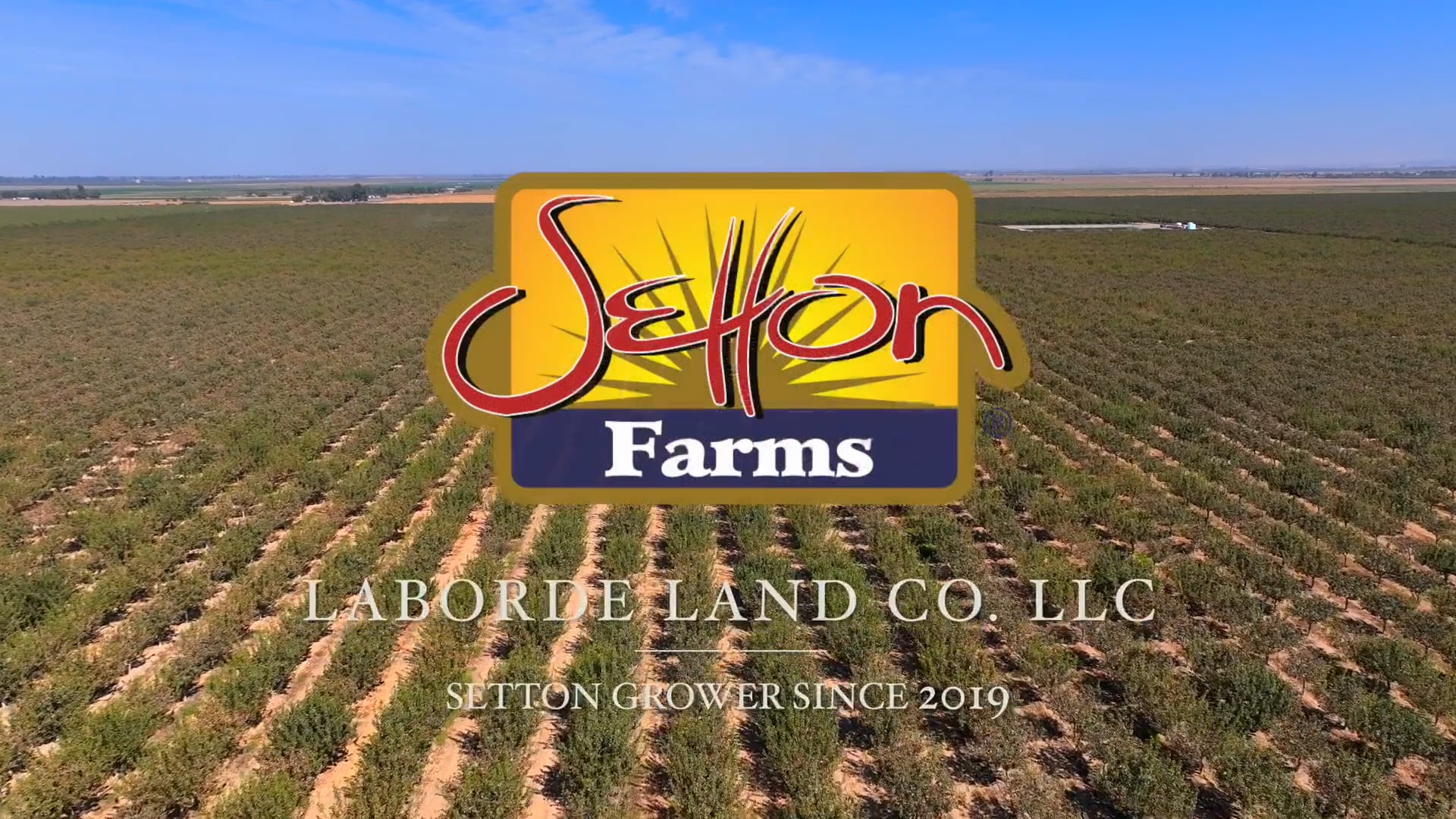 GROWERS | Setton Farms California Pistachios