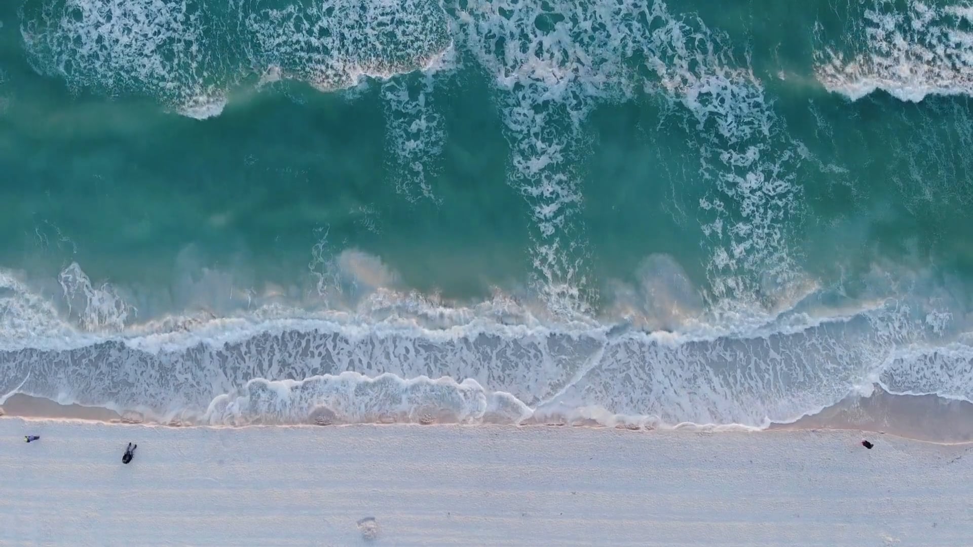 Program Overview 2026