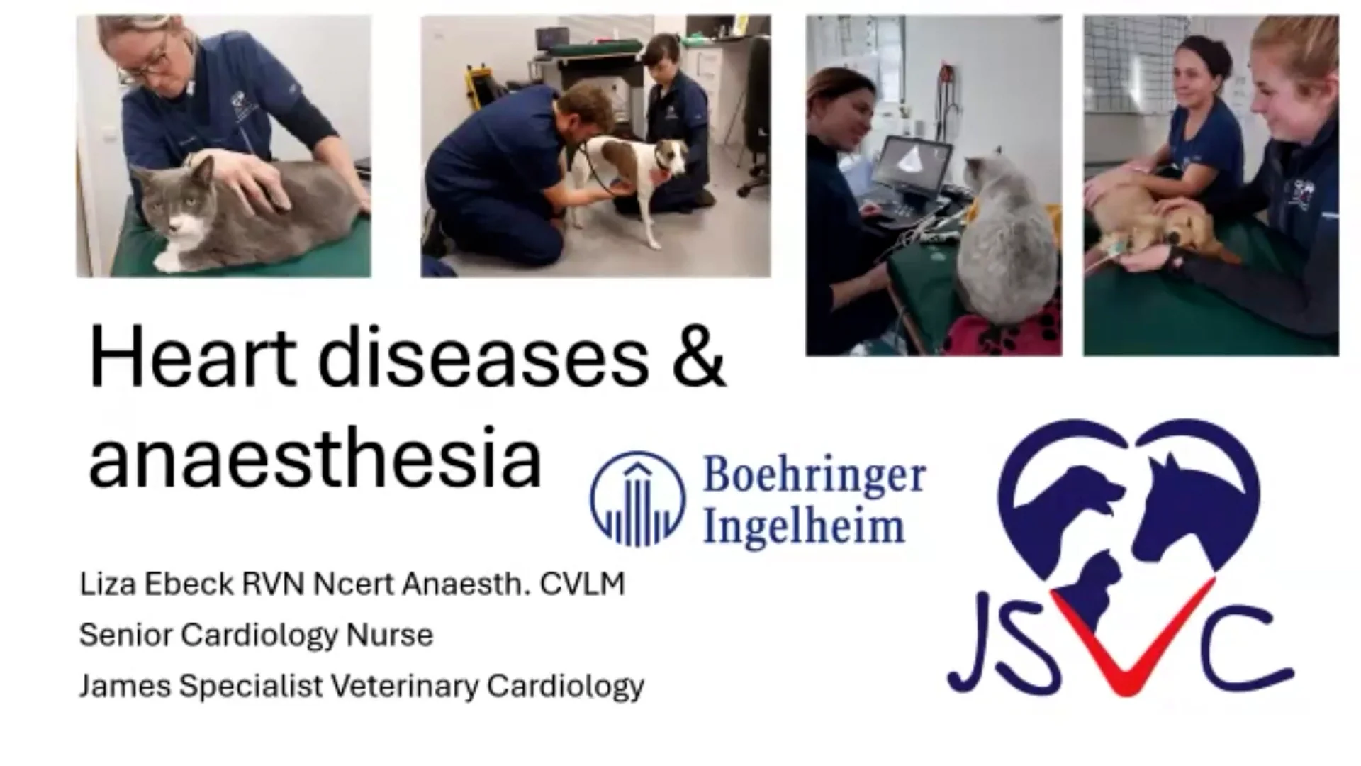 Watch Anaesthesia and Arrhythmias. Part 2; Anaesthesia and Heart ...