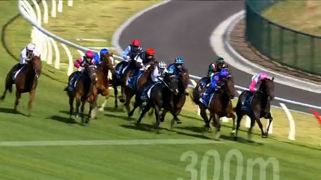 Lean Mean Machine - Stallion | Breednet