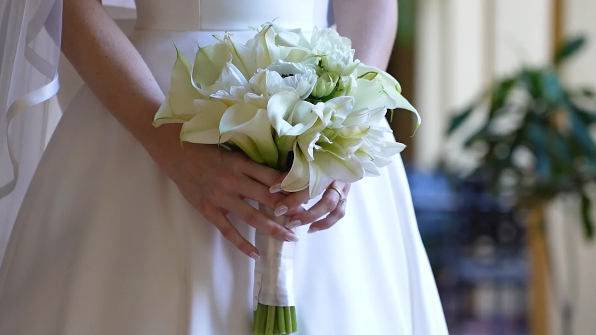 Alejandra + Mario - Alejandra + Mario on Vimeo