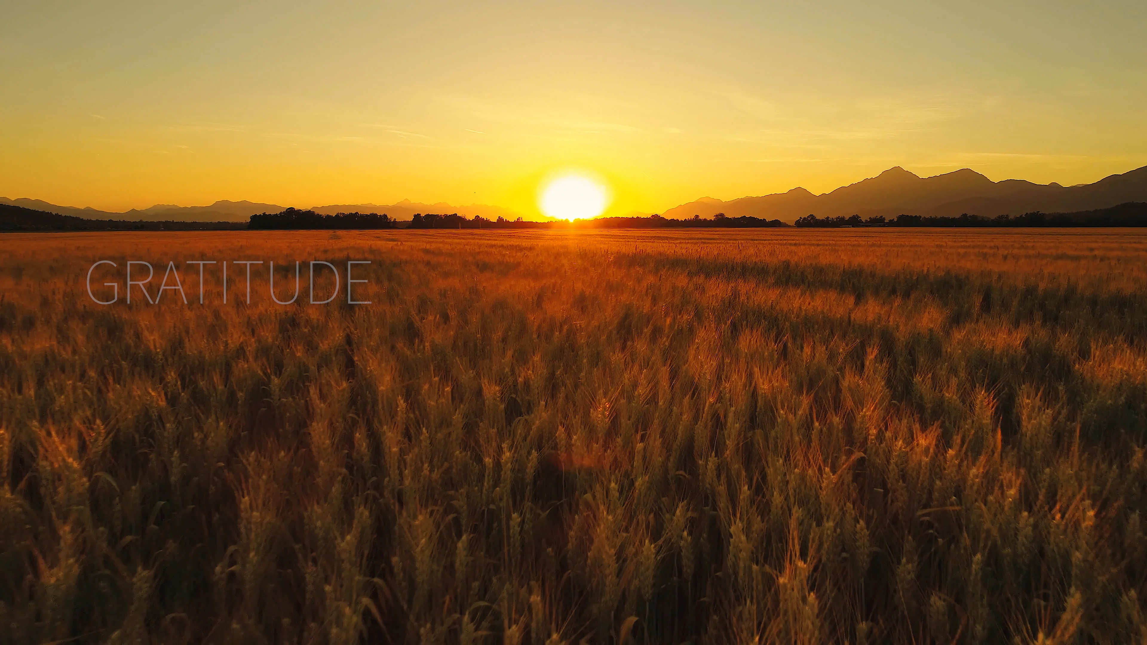 Thanksgiving Jason Kerr