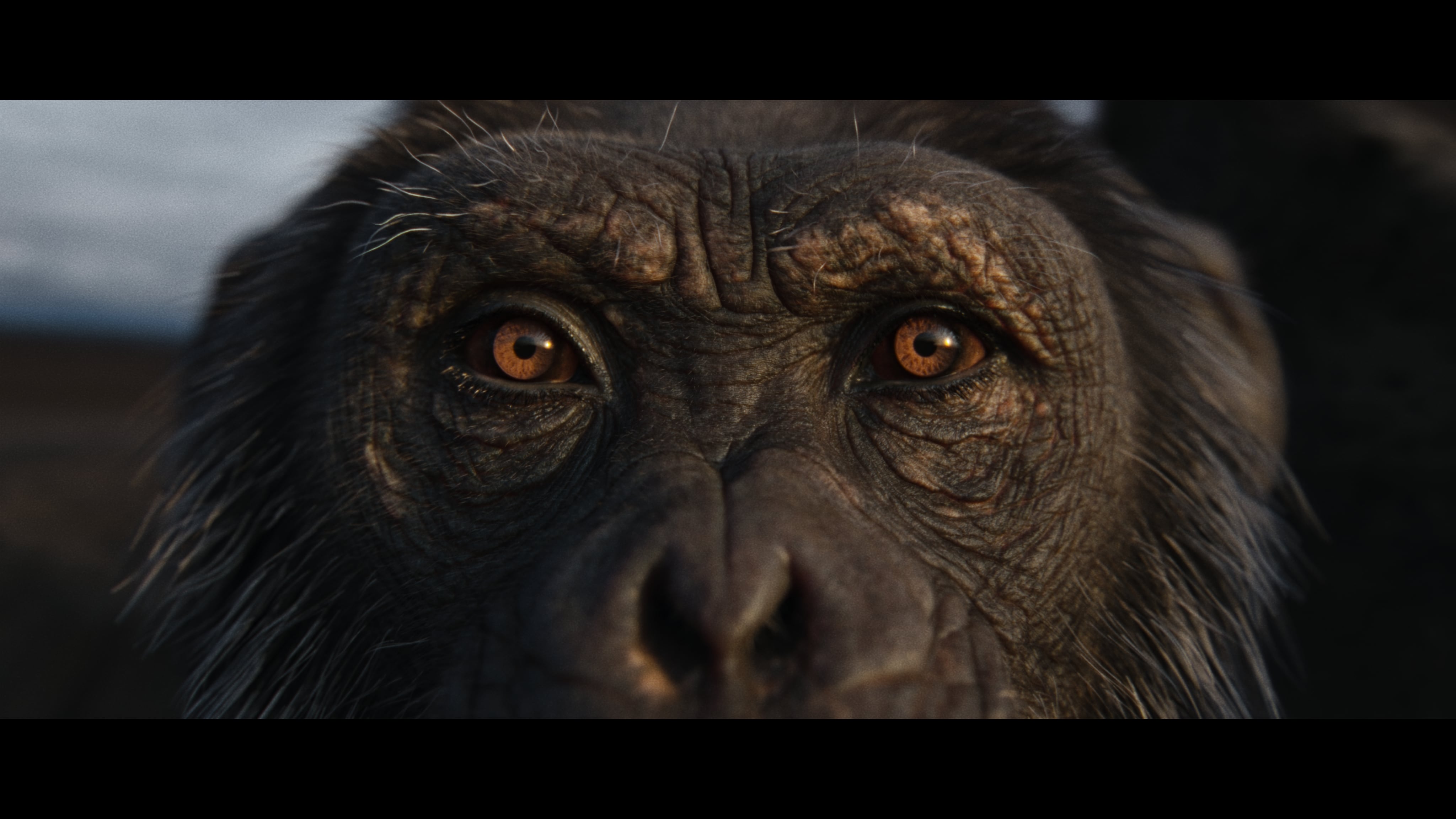 (ROM) Royal Ontario Museum’s Immortal: "Opera" Nature’s Symphony