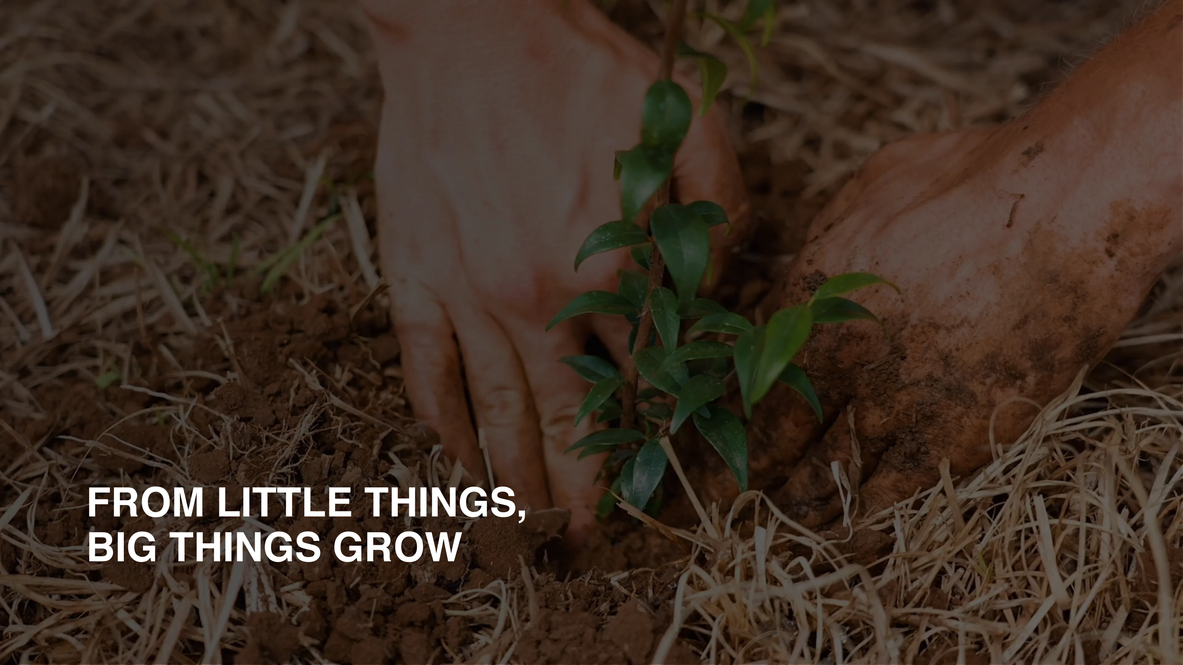 From Little Things Big Things Grow: 20 years of Community Giving at the Northern Rivers ...