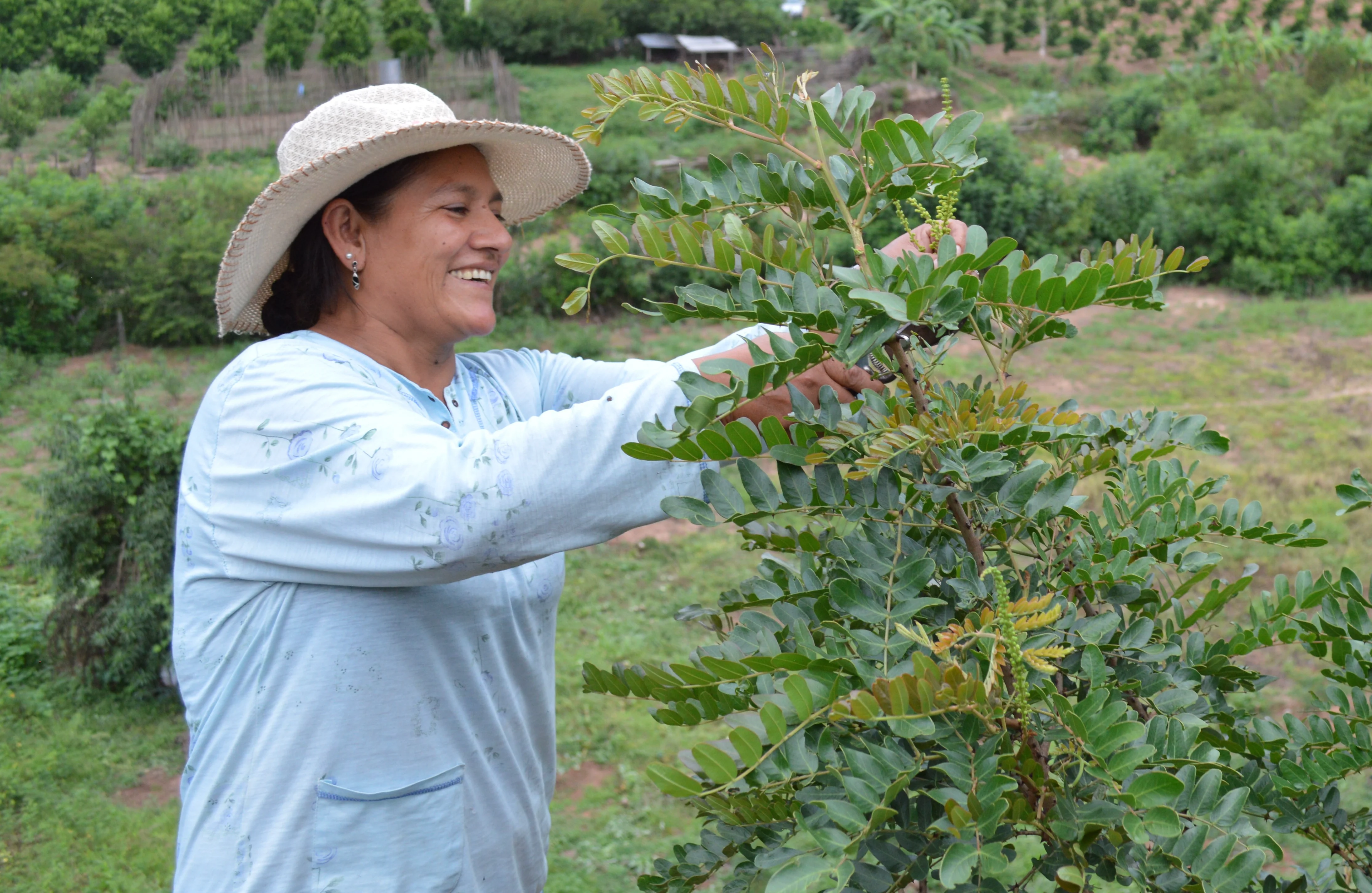 Un recorrido por la planta de TARA