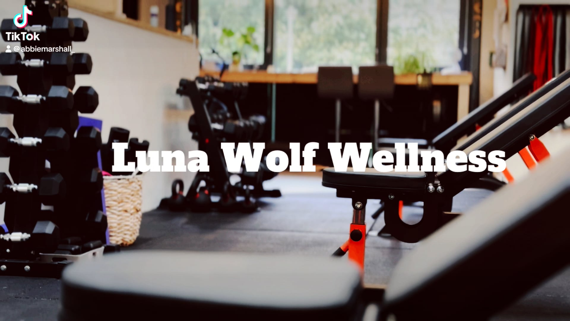 Luna Wolf Wellness