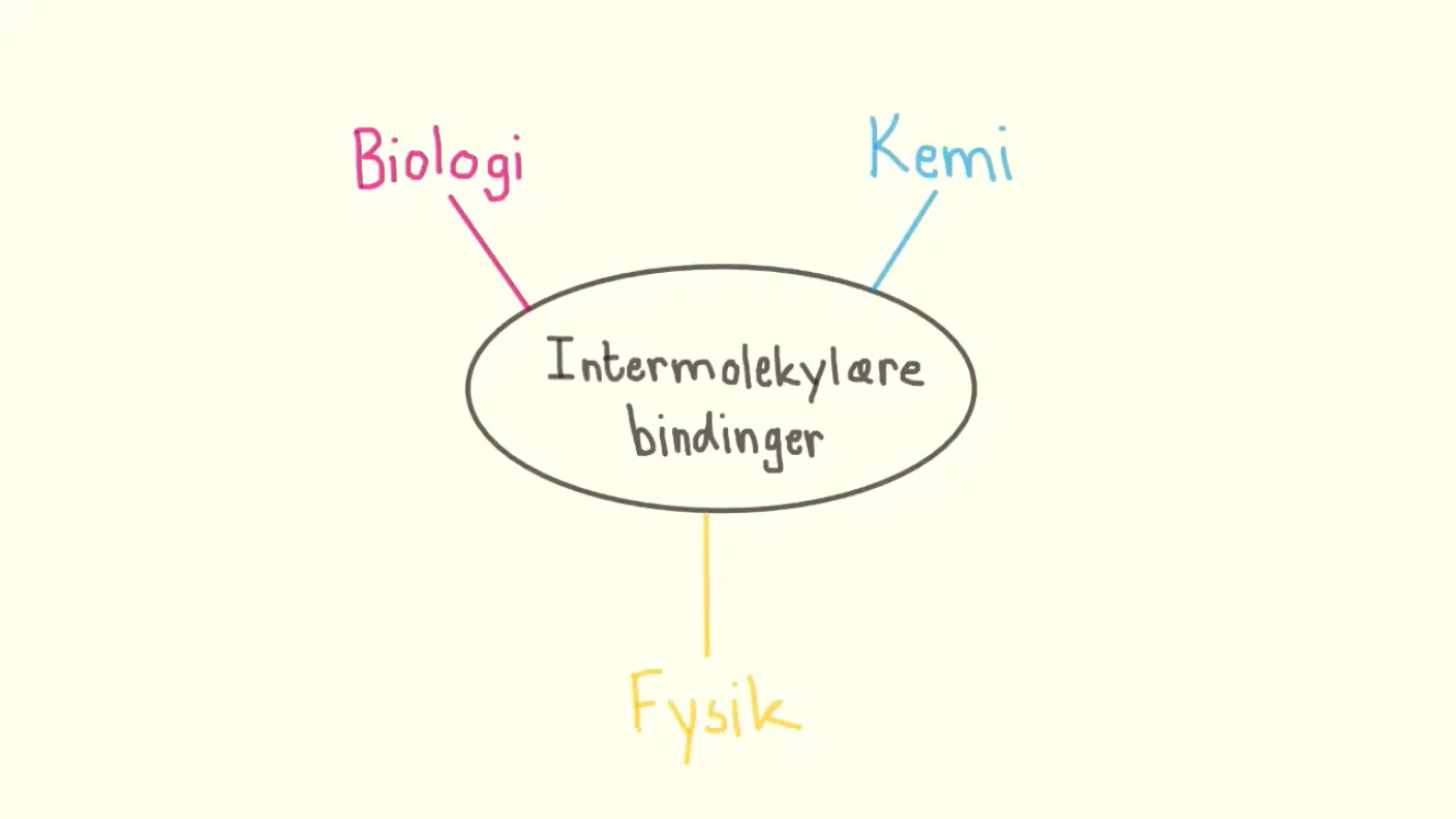 Intermolekylære bindinger