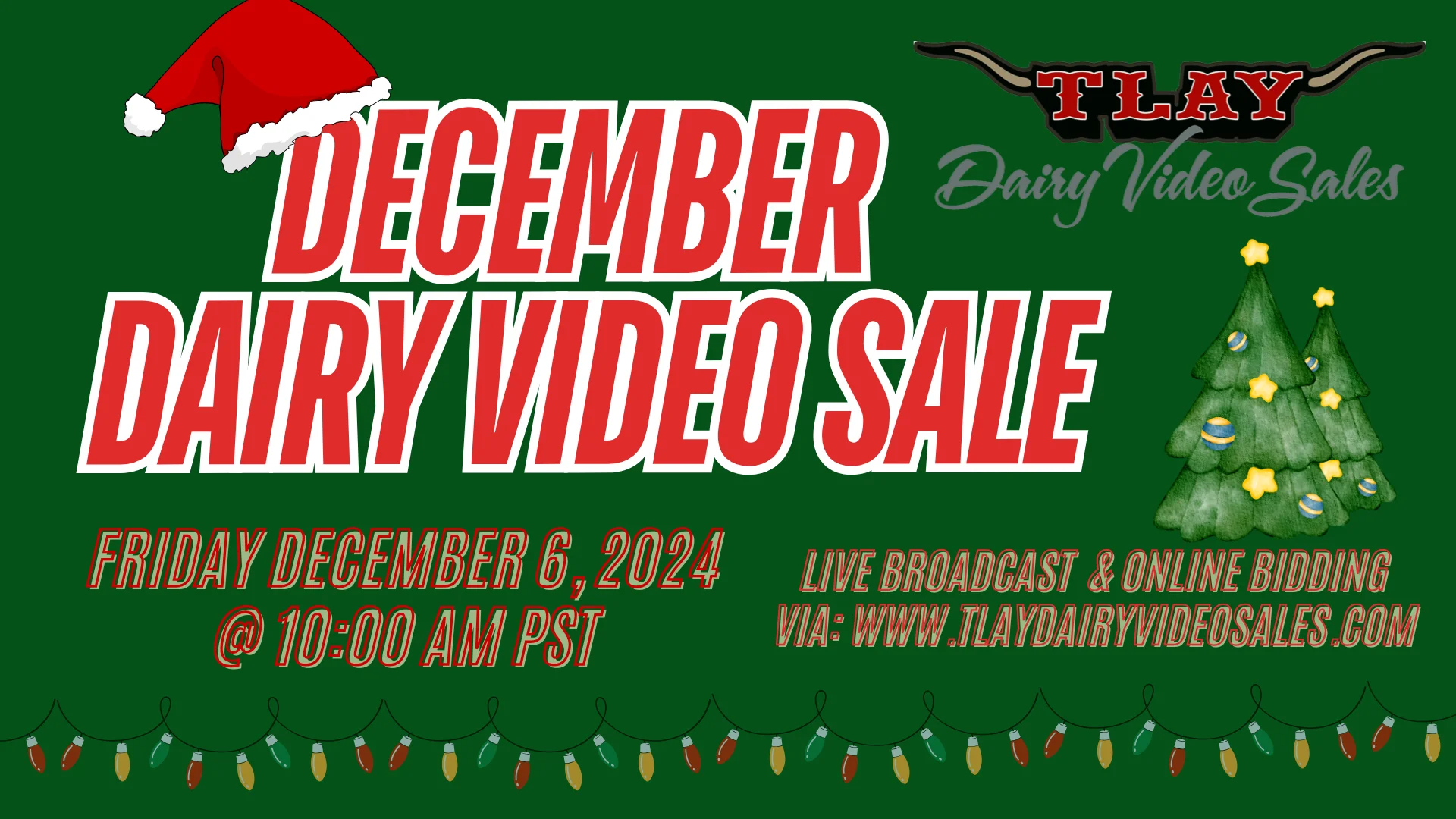 DECEMBER 2024 DVS PREVIEW VIDEO