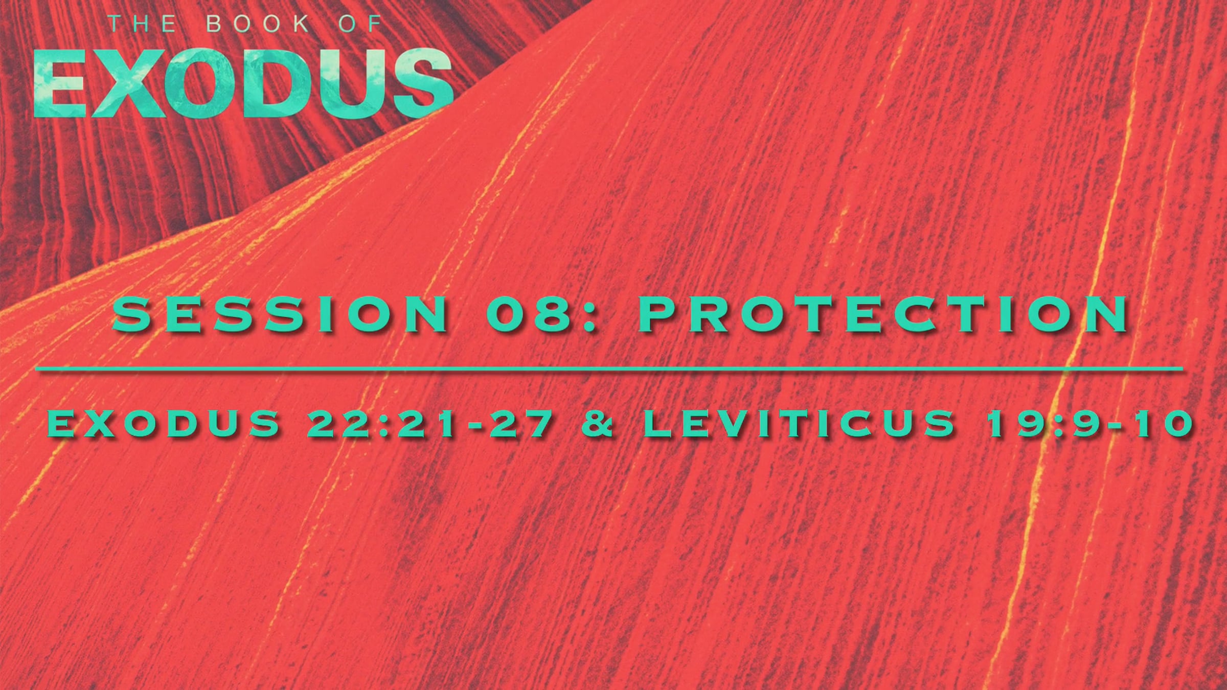 Exodus 08 Protection in Ex. 22:21-27 & Lev. 19:9-10