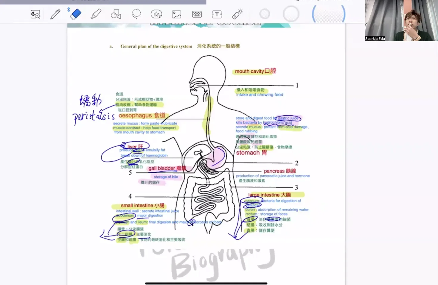 24-25 F4 3L4 Nutrition in human 26/11/2024