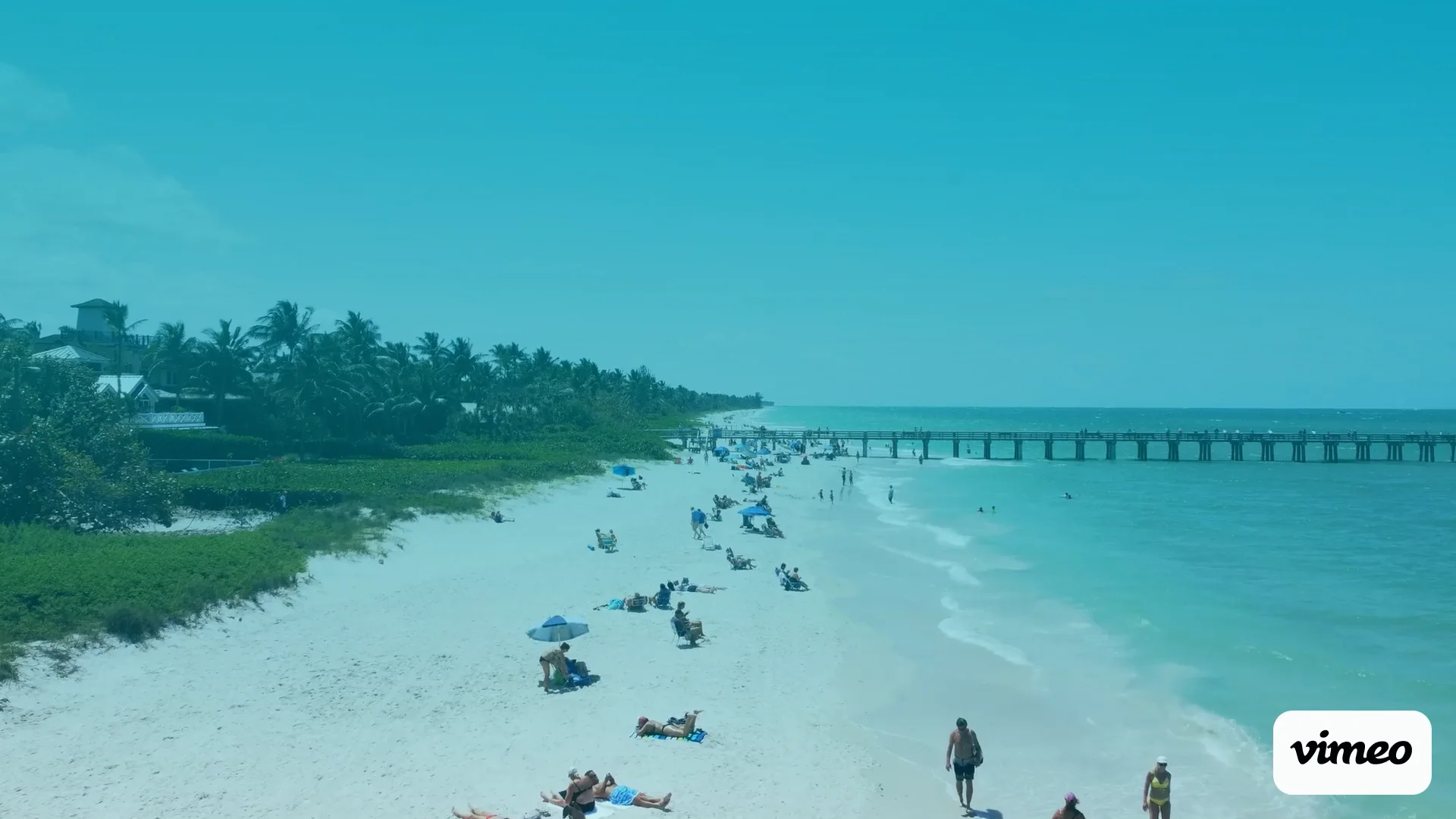 11493545 Uhd 3840 2160 24fps