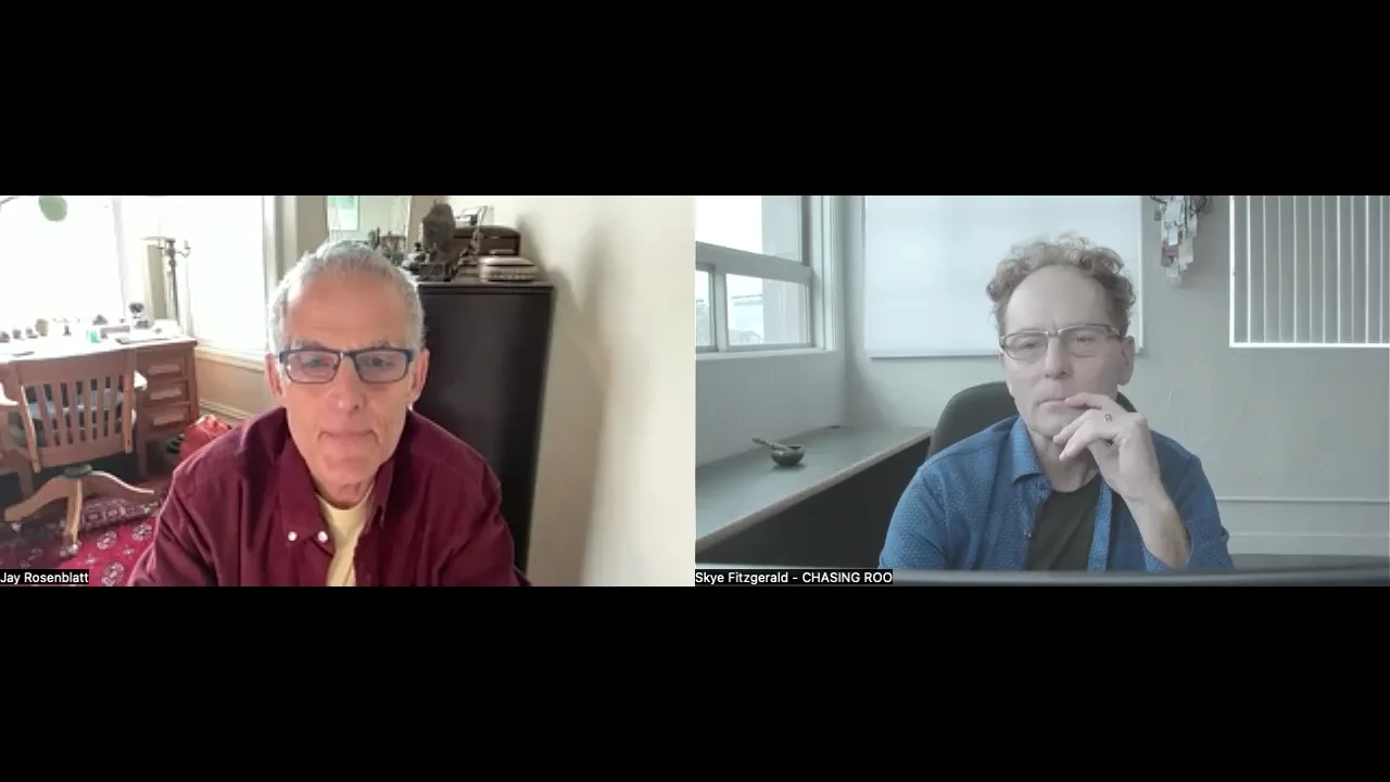 Jay Rosenblatt in conversation with Skye Fitzgerald - CHASING ROO - Doc ...