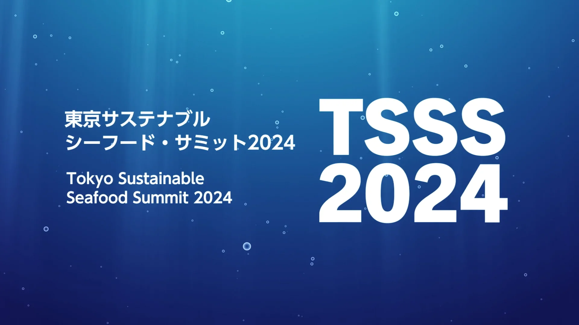 TSSS2024_1-0_Opening Remarks