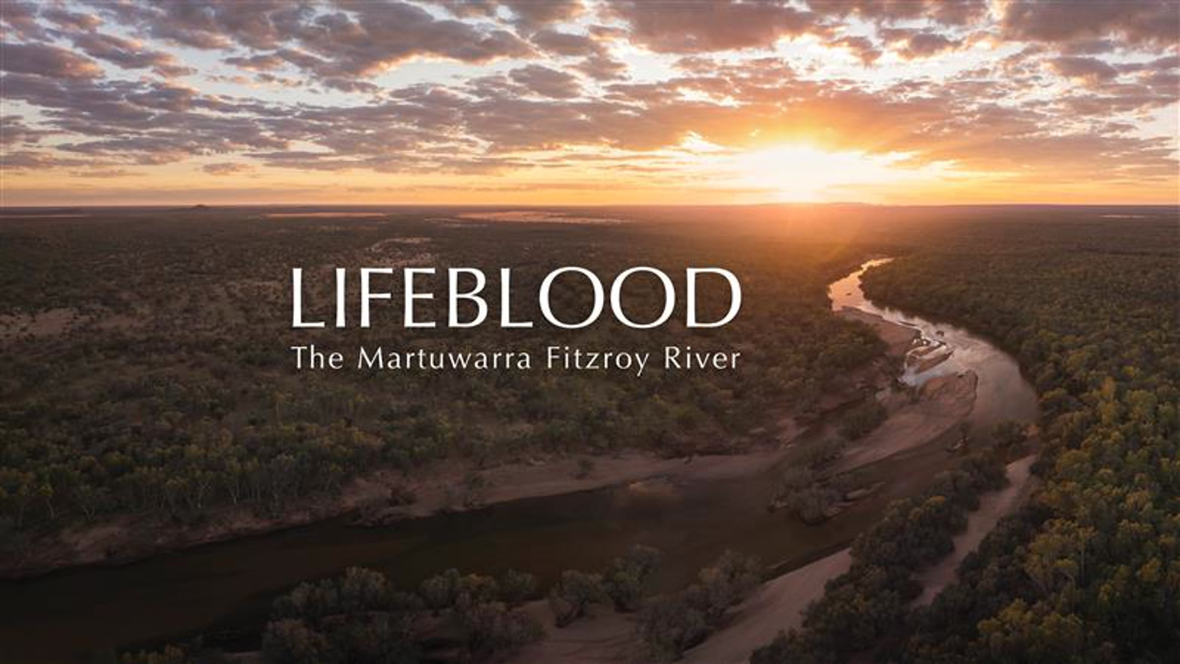 LIFEBLOOD documentary trailer