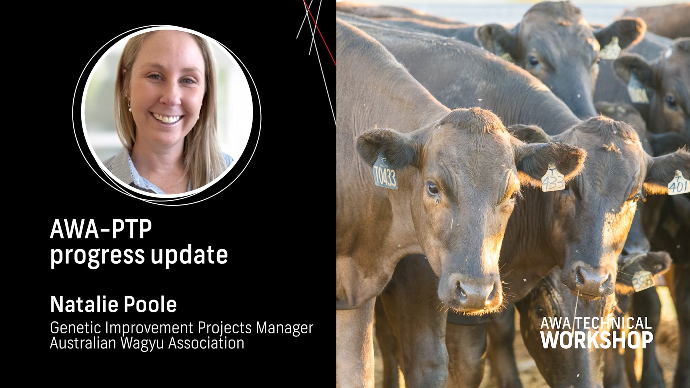 Workshop2024 - AWA-PTP progress update