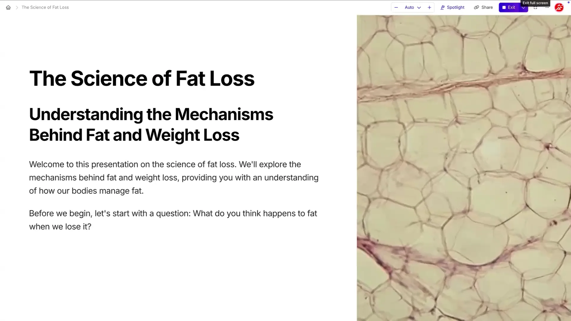 Body Composition: The Science and Practice of Fat Loss by David Parker