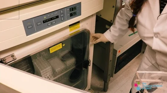 A Look inside the Lab: Incubators - Vaccine Makers Project