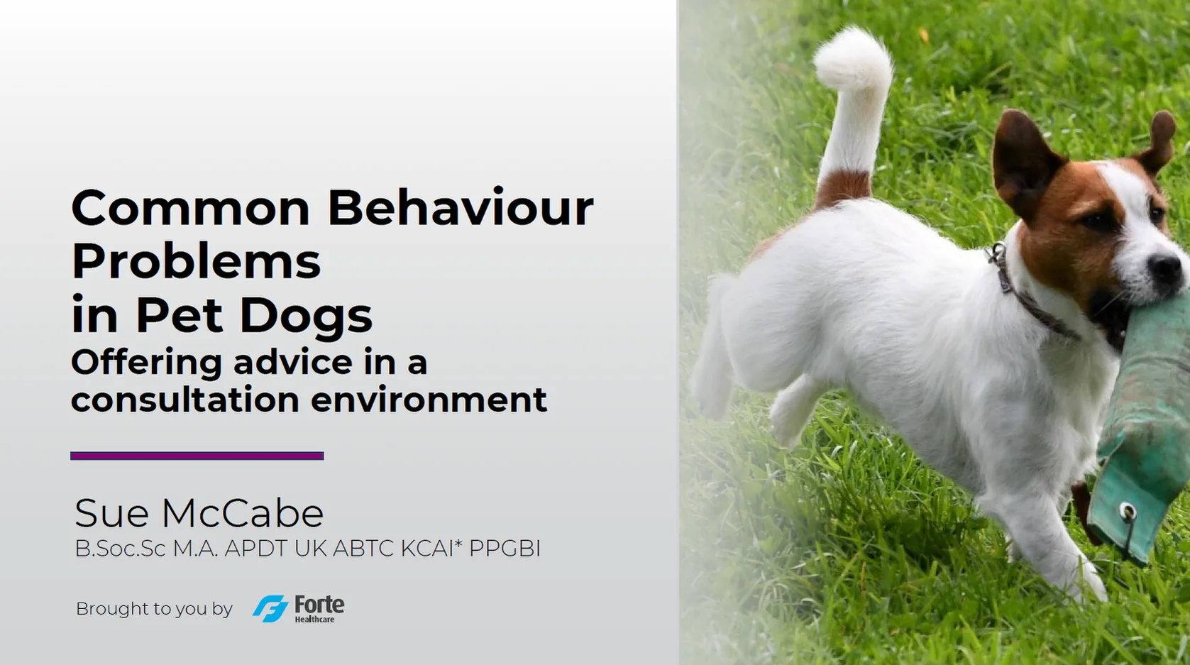 Canine Behaviour In Your Practice (Part 2 of 2)