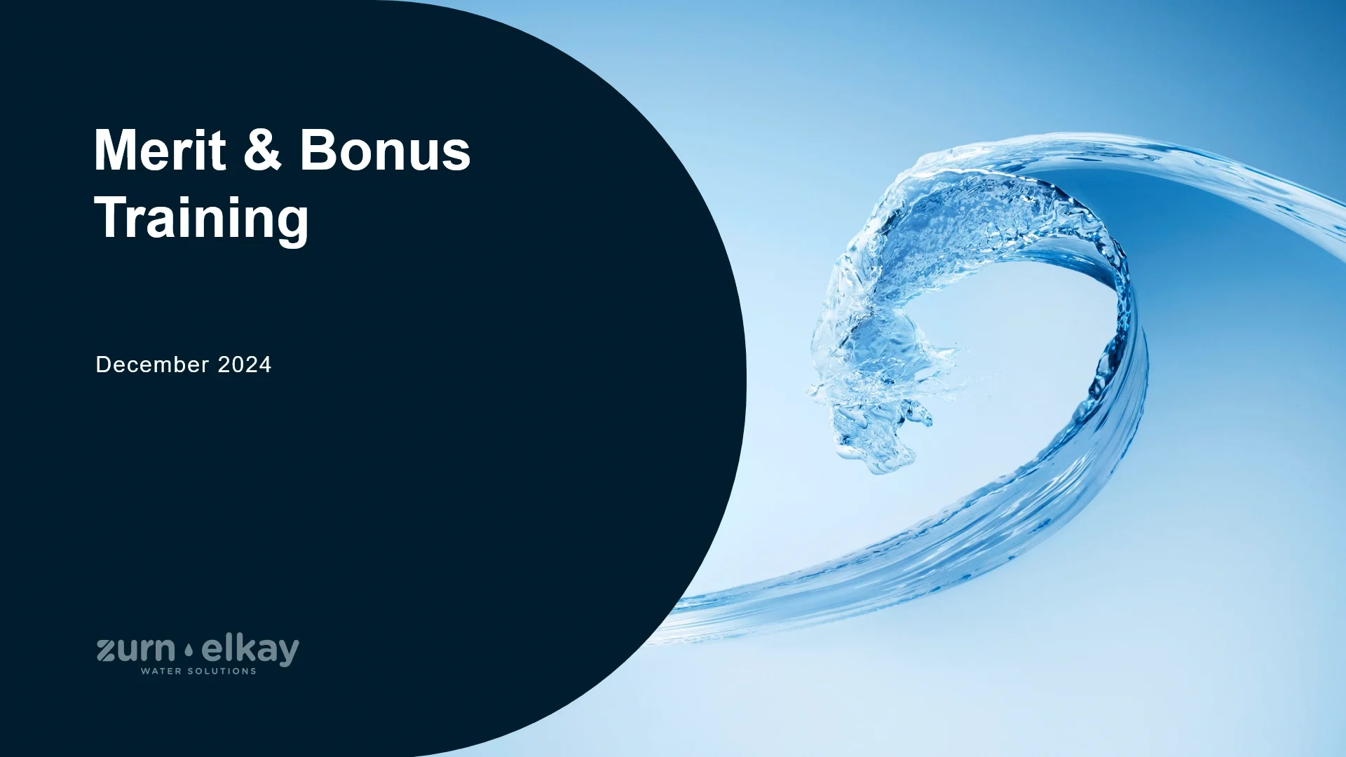 Merit and Bonus Training - 2025