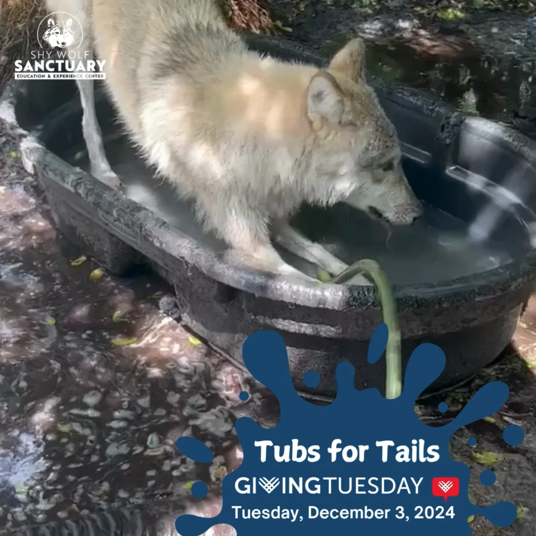 Tuesday, December 3, 2024 (Facebook Video)