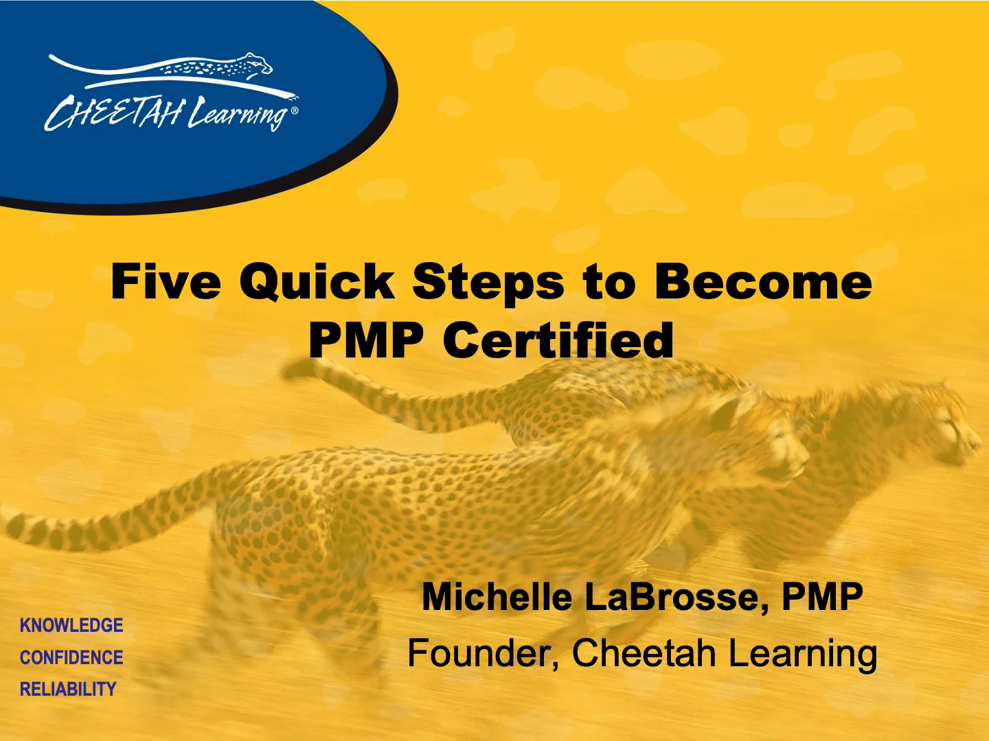 Five Quick Steps to Become a PMP