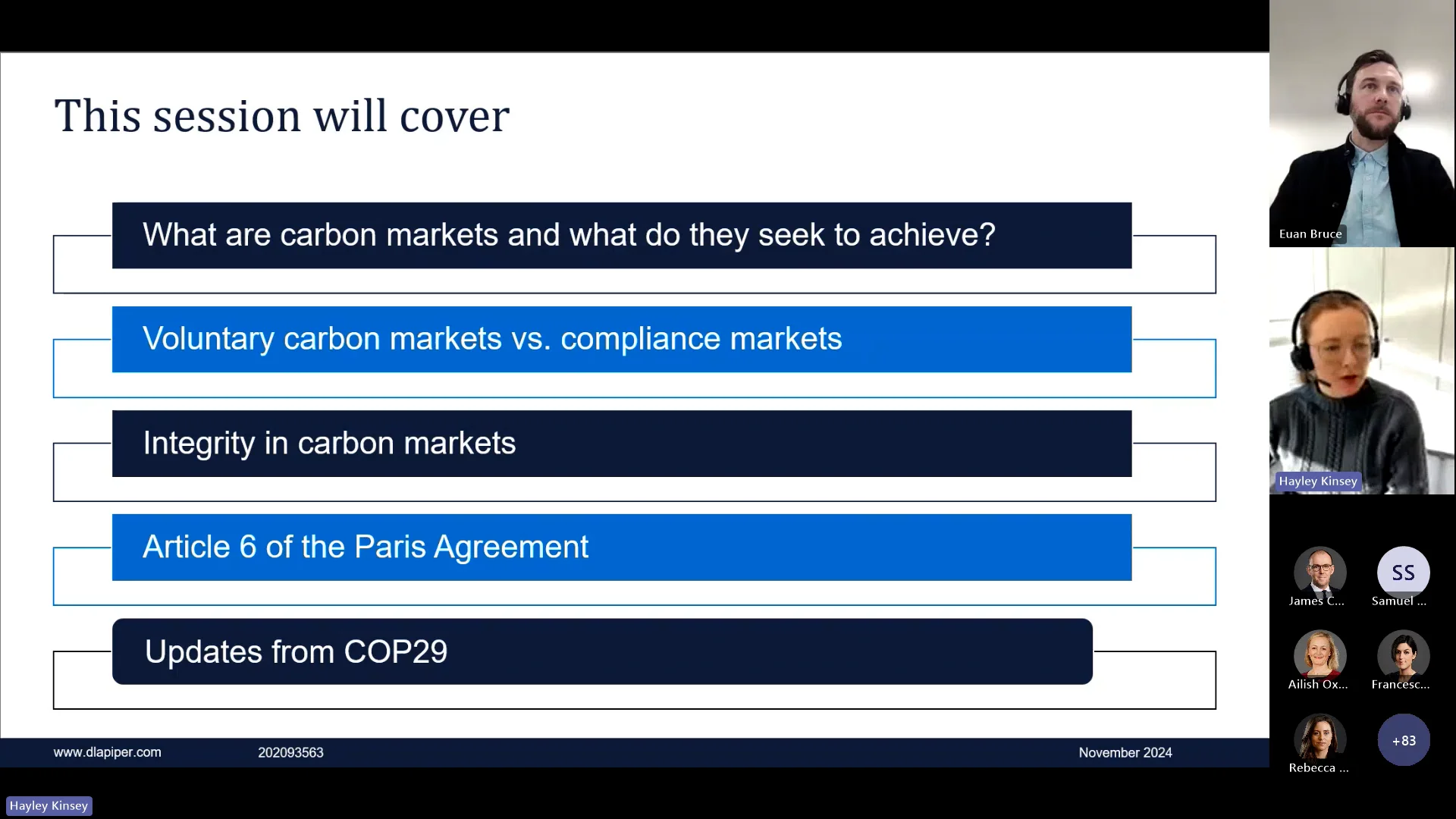 Energy and Natural Resources Workshop Series - Carbon markets training