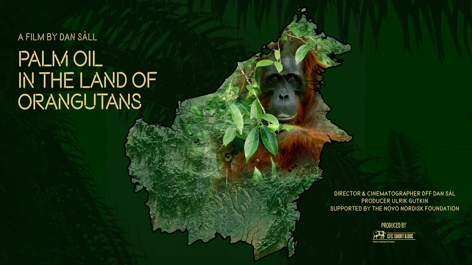 Watch Palm Oil in the land of Orangutans Online | Vimeo On Demand on Vimeo