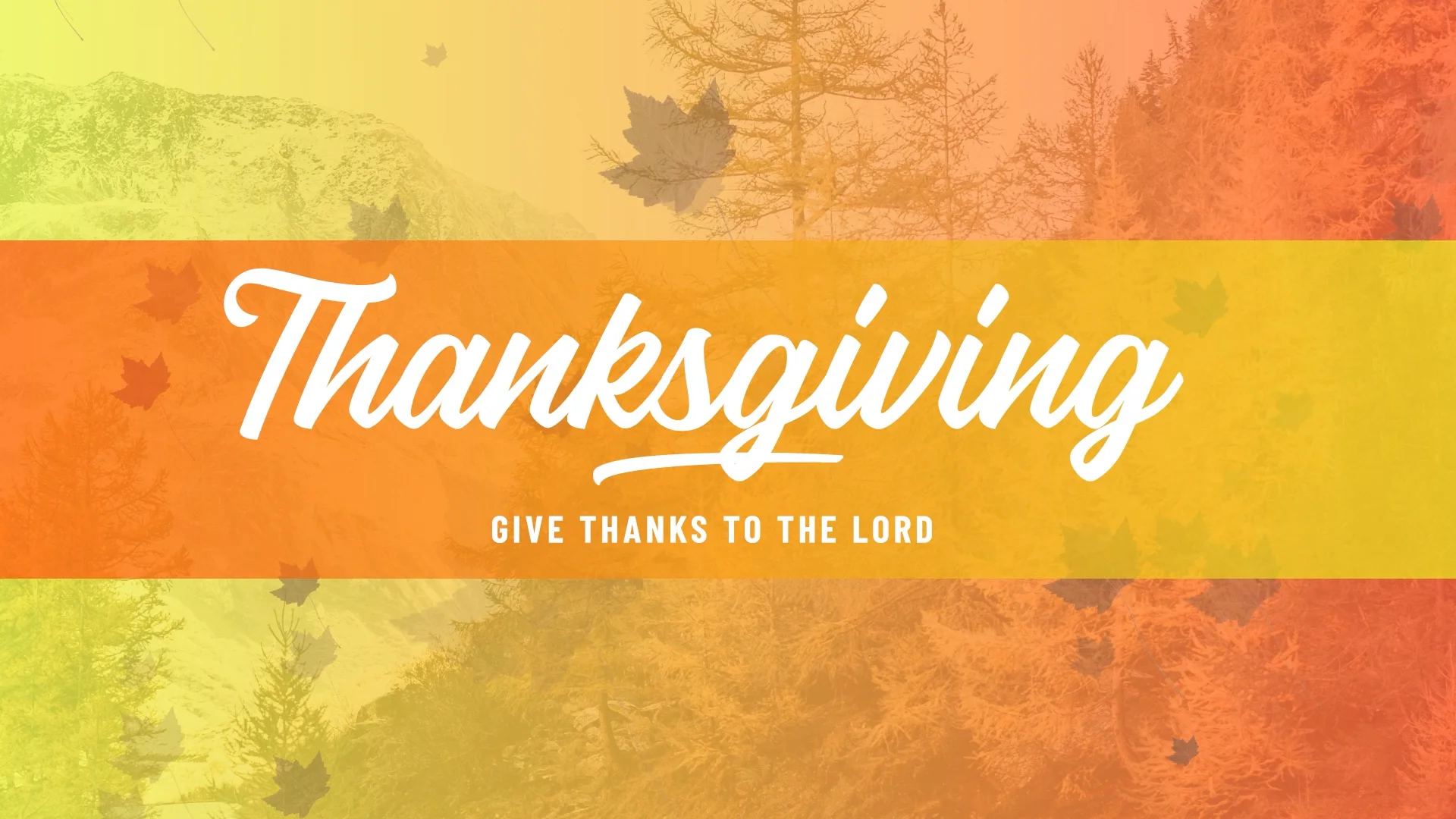 Thanksgiving, November 28