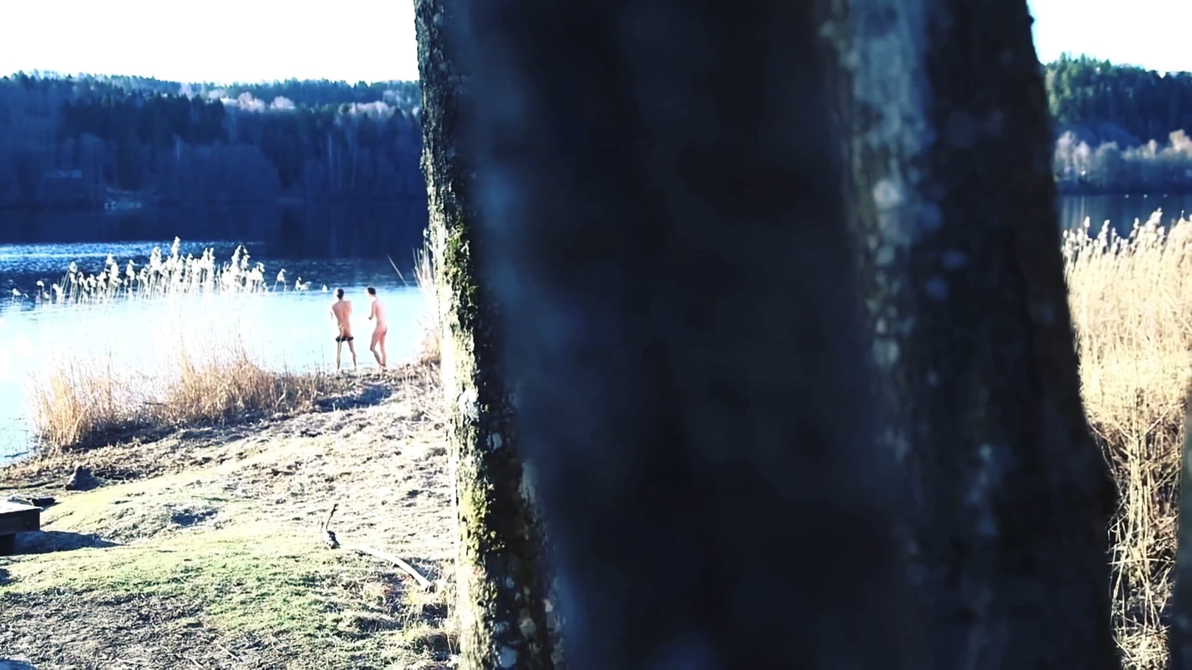 The forest rangers (Skogvokterne)