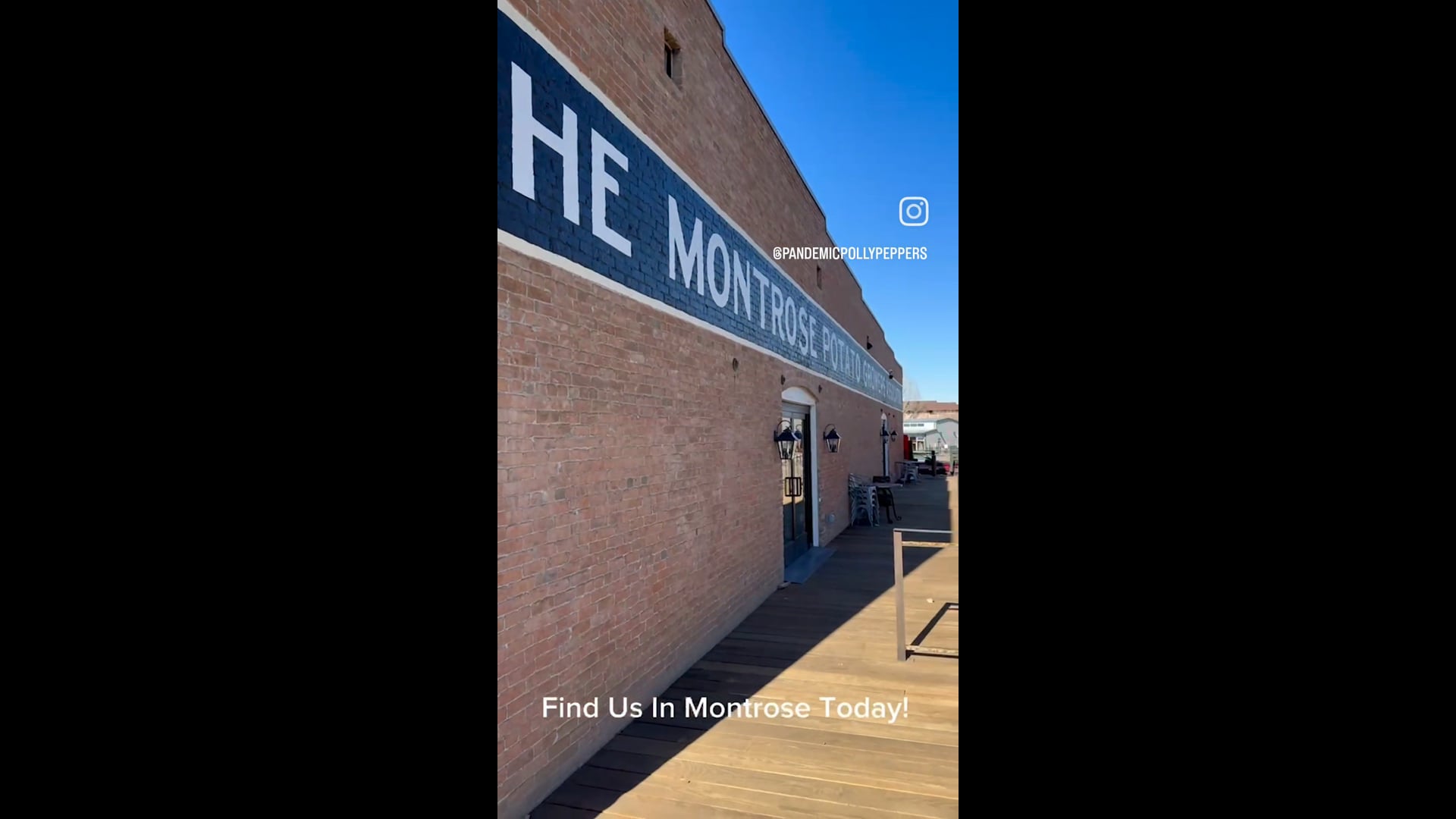 Pandemic Polly Peppers