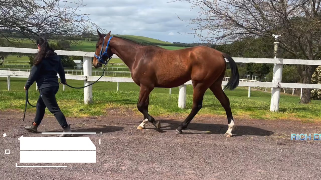 Rich Enuff x Dream Factor