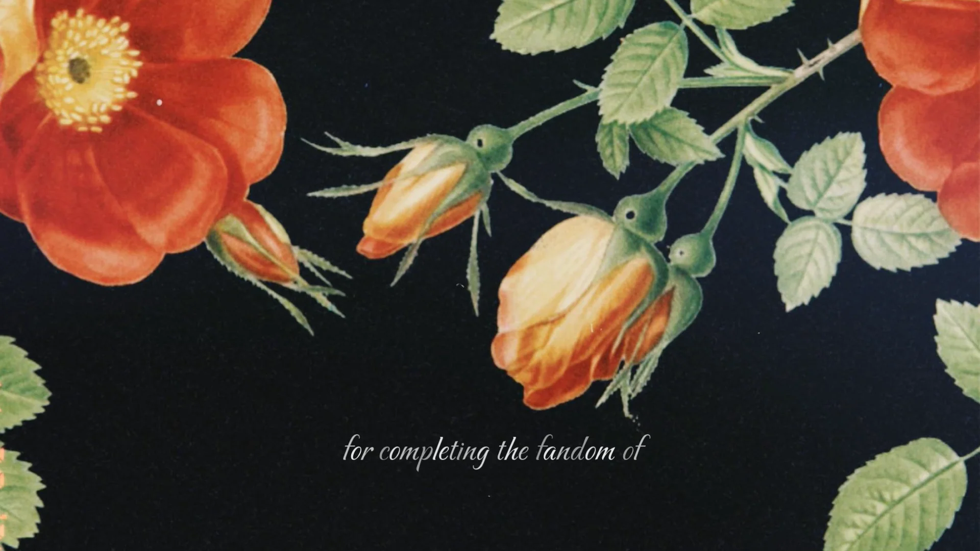 Courtney_Slides_Horizontal_202412