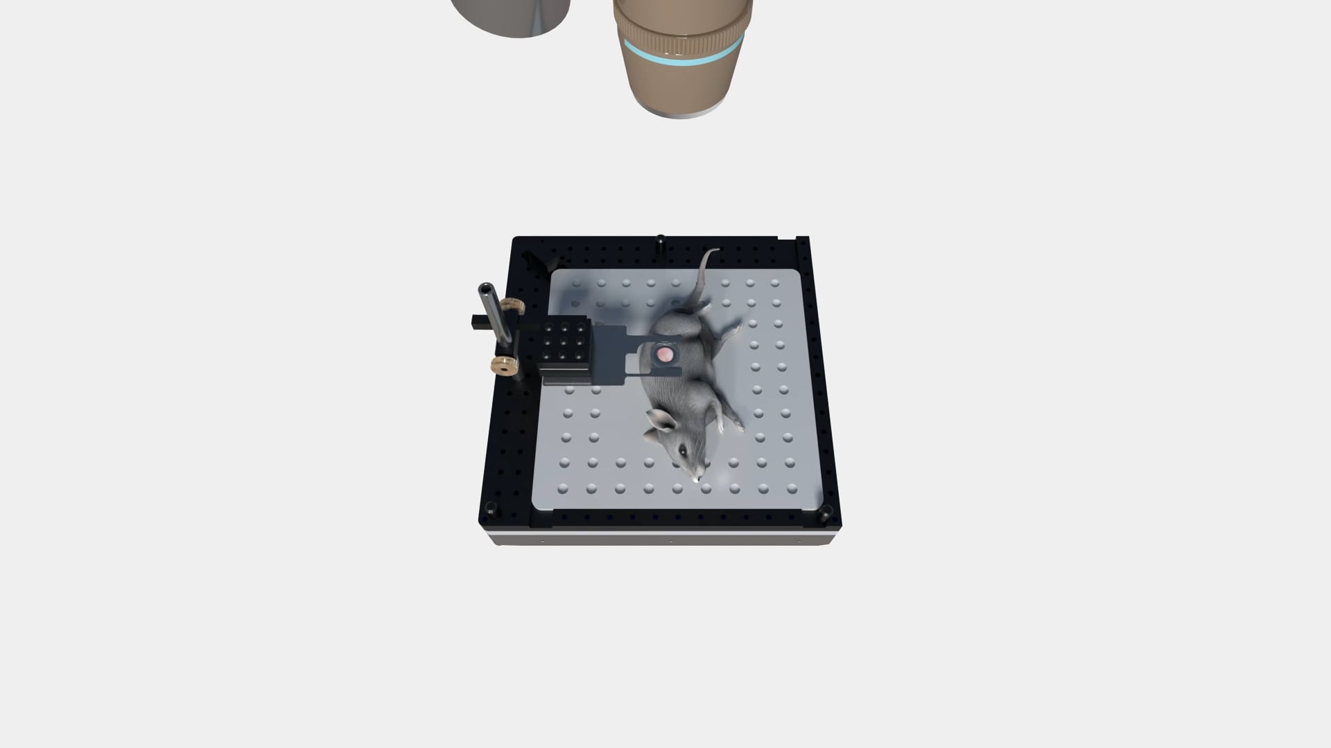 IVIM_Abdominal Imaging Window Kit