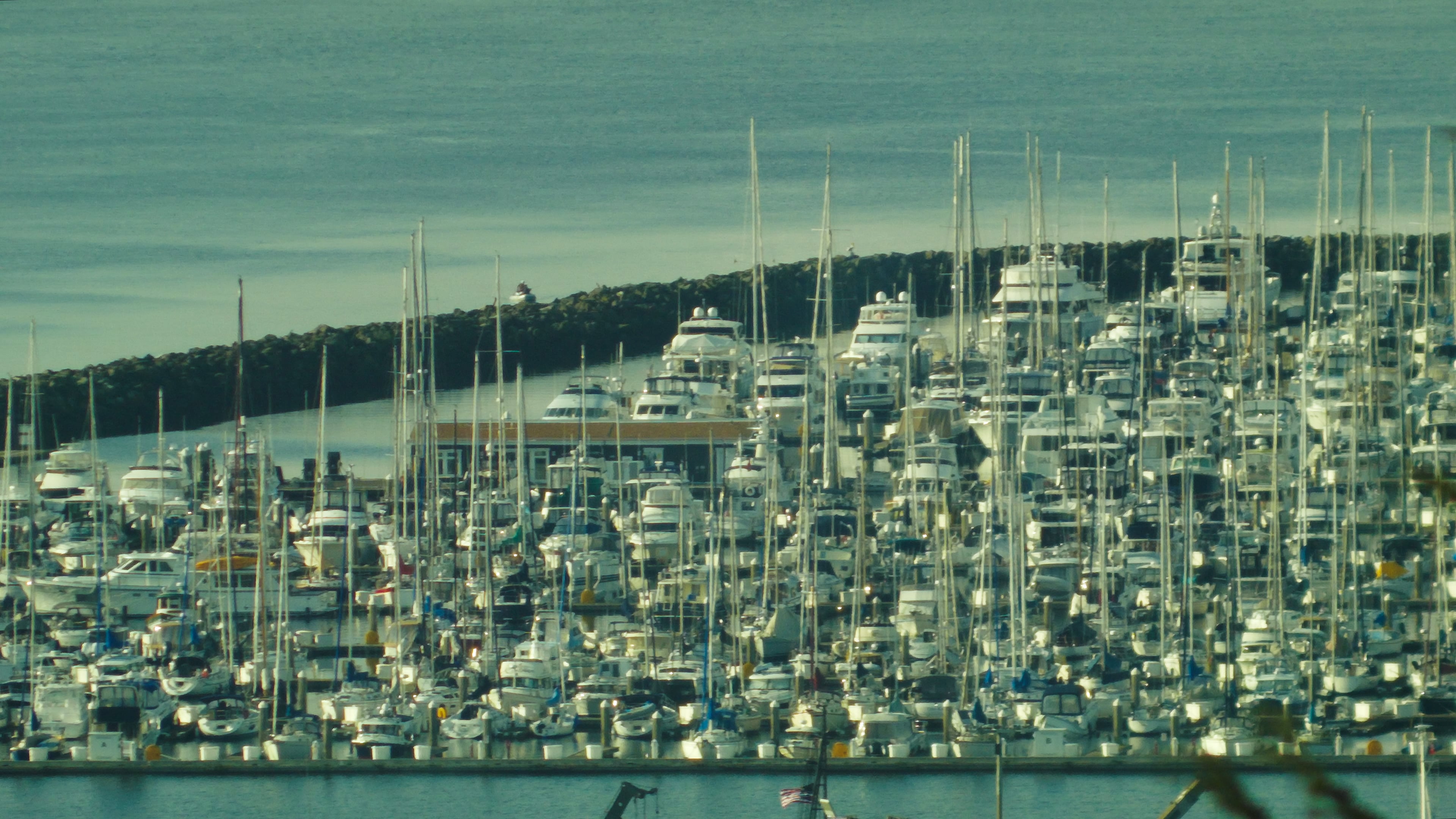 TAIR-33 OVERLOOKING ELLIOTT BAY - BMMCC G1 Footage