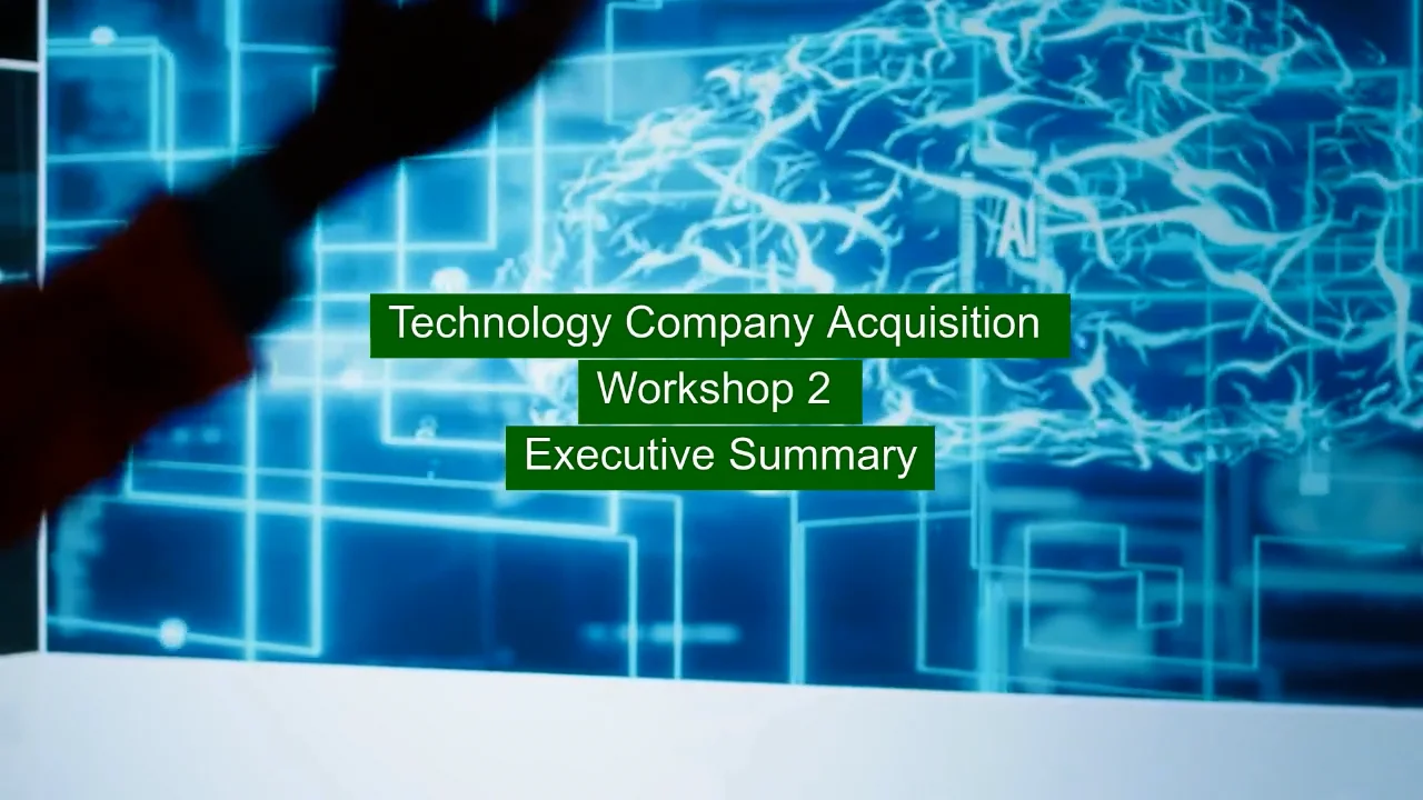 Technology Company Acquisition (WDP2) (Executive Summary)