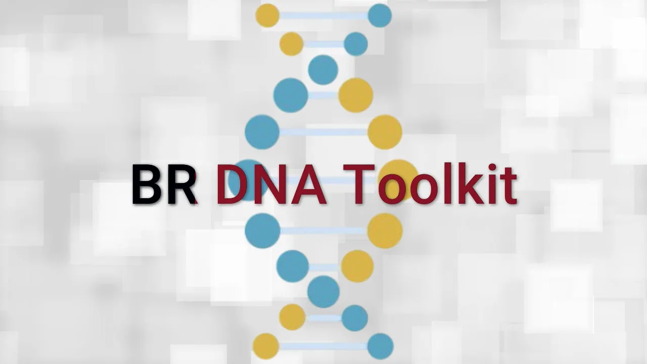 BR DNA Toolkit