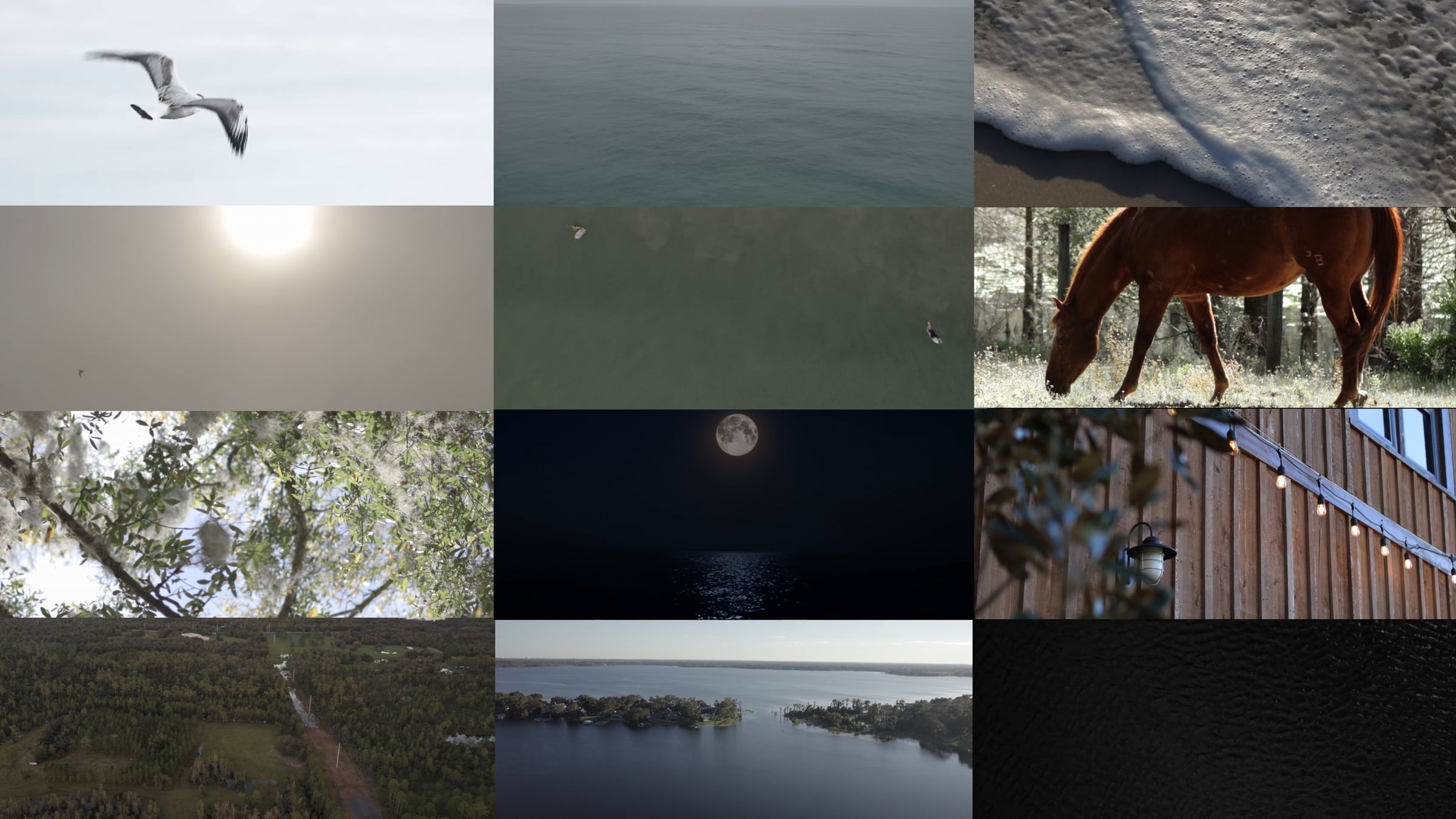 Natural Beauty | Color Trends 2025