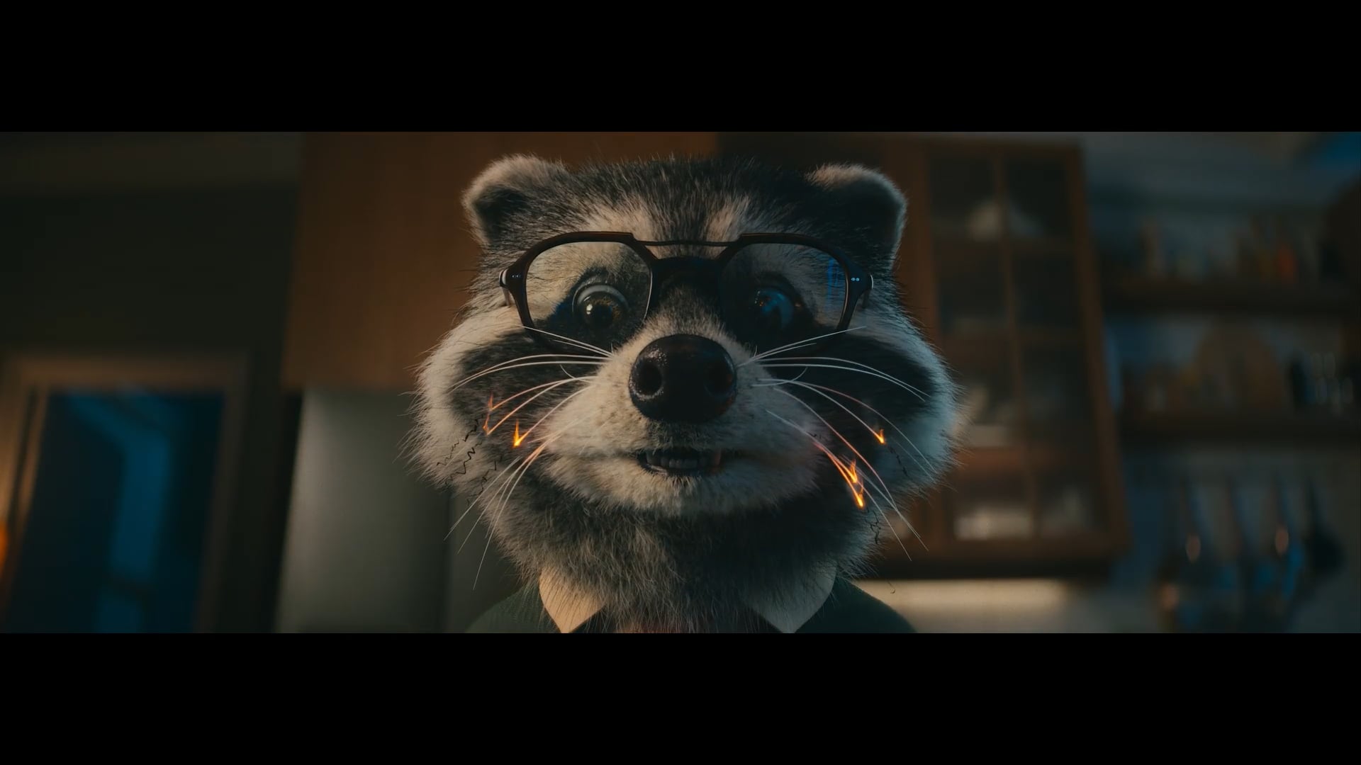VIZIO Brand Relaunch Raccoons