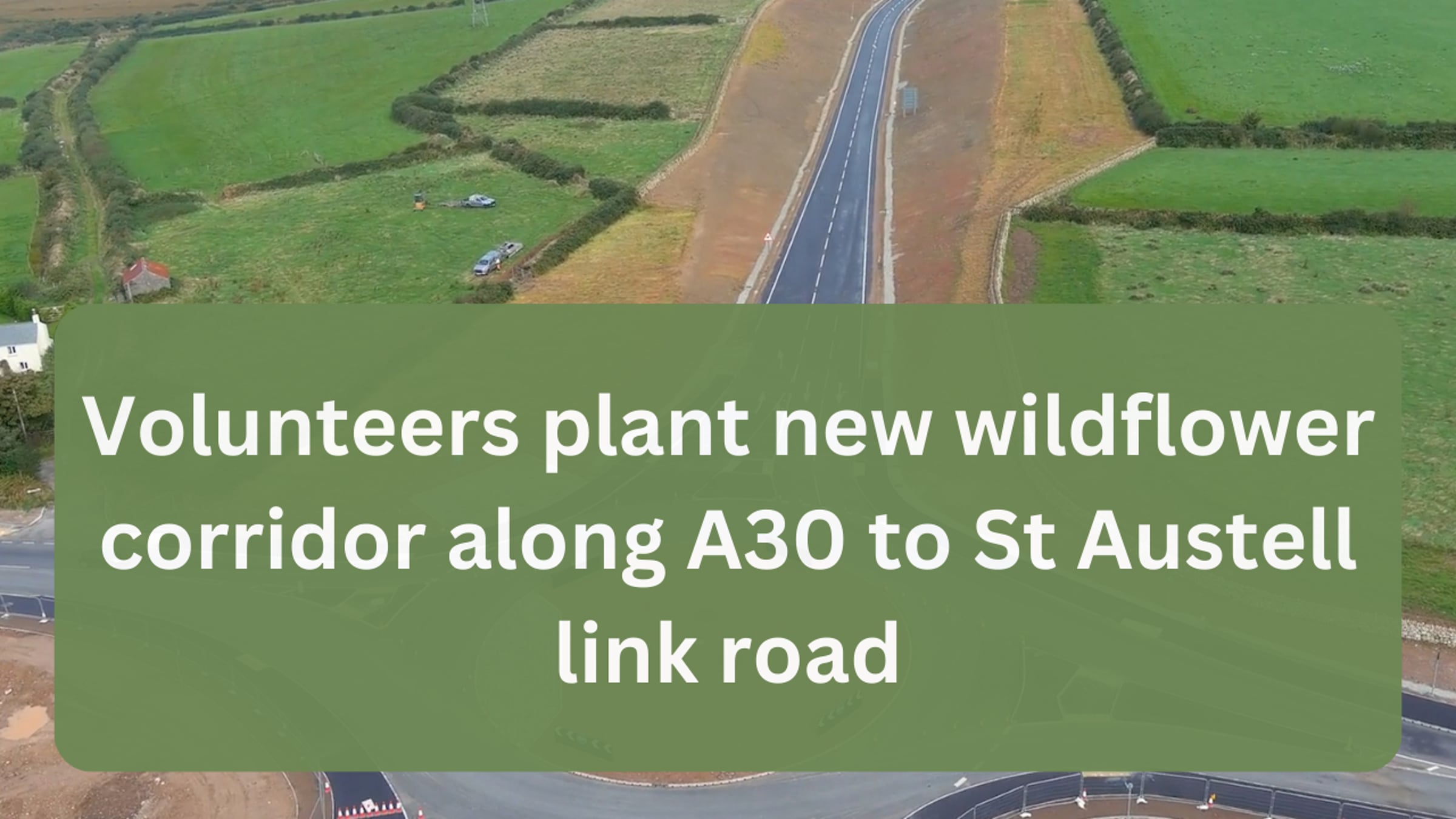 Volunteers plant wildflower corridor along new A30 to St Austell link road
