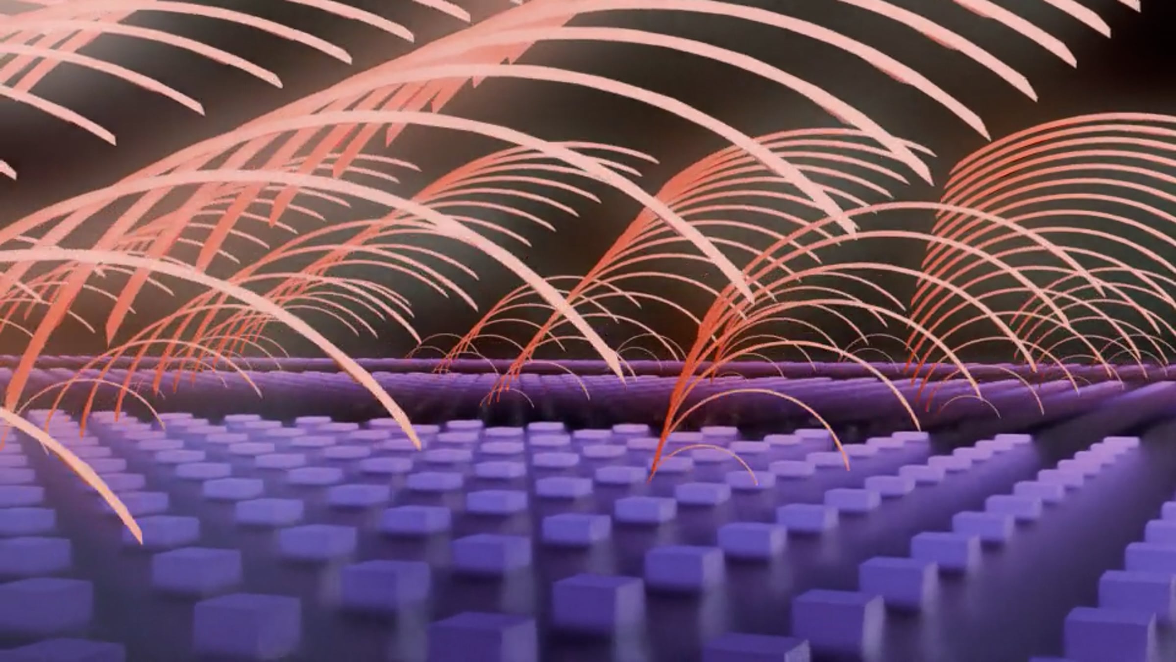 Beam Steering with Programmable Optics