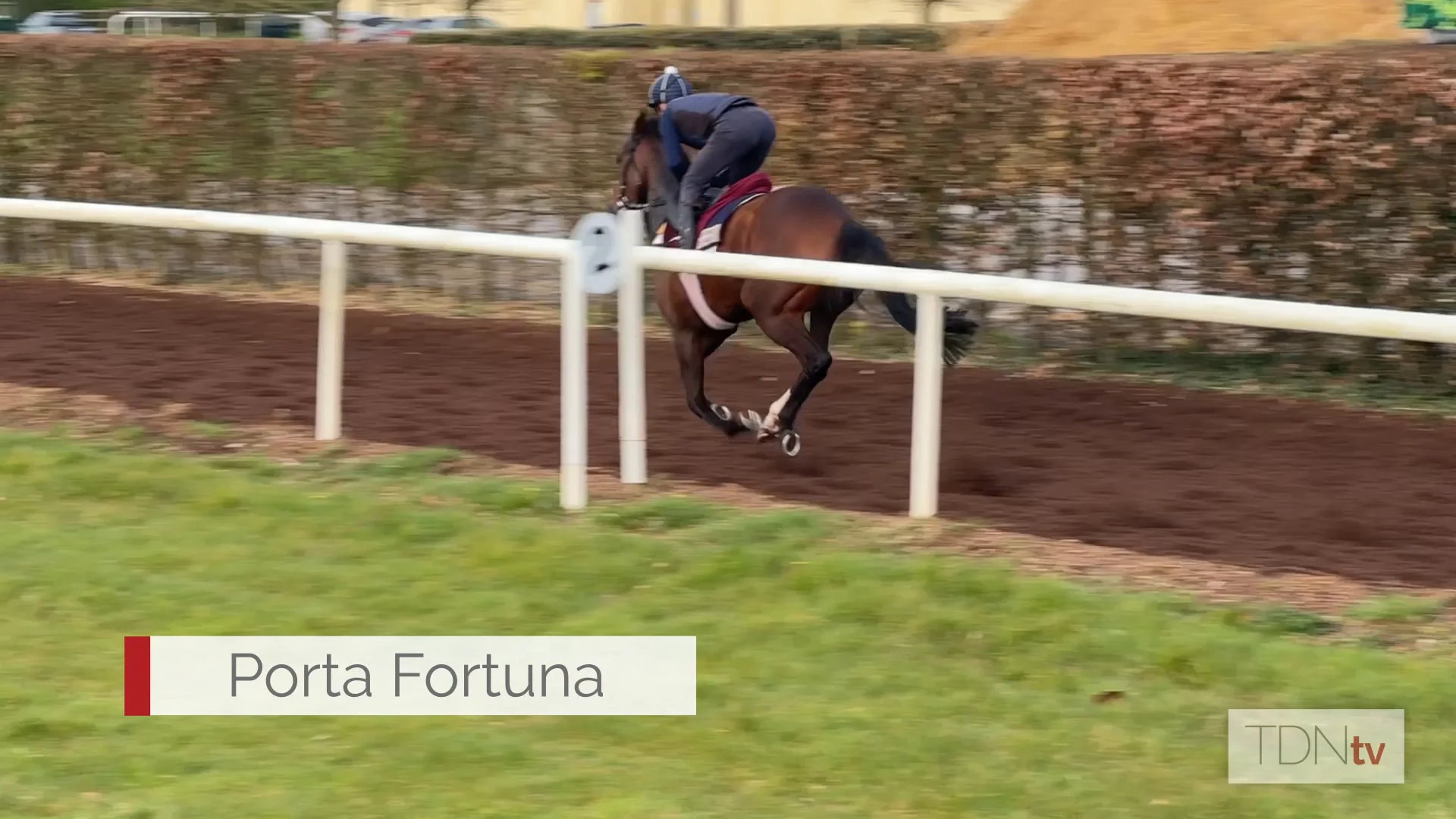 Porta Fortuna Headlines Banner Year for Medallion Racing