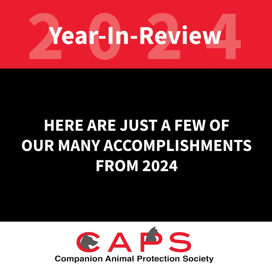 CAPS 2024 Year-In-Review