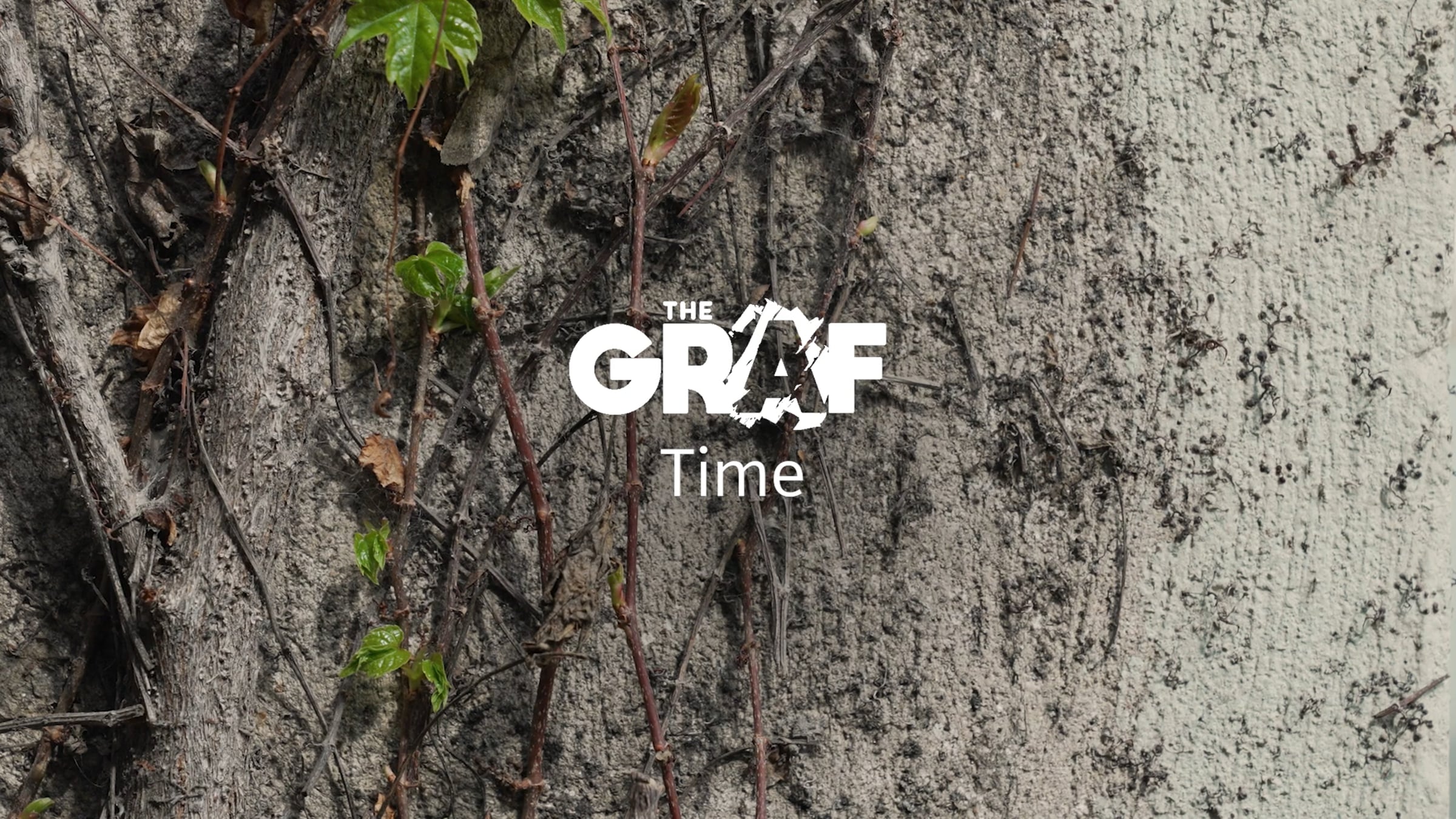 The GRAF/Time