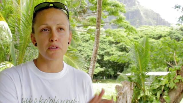 Hui o Koolaupoko Hakipuu ahupuaa hike on Vimeo
