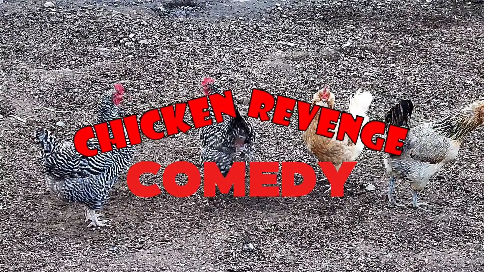 Chicken Revenge!