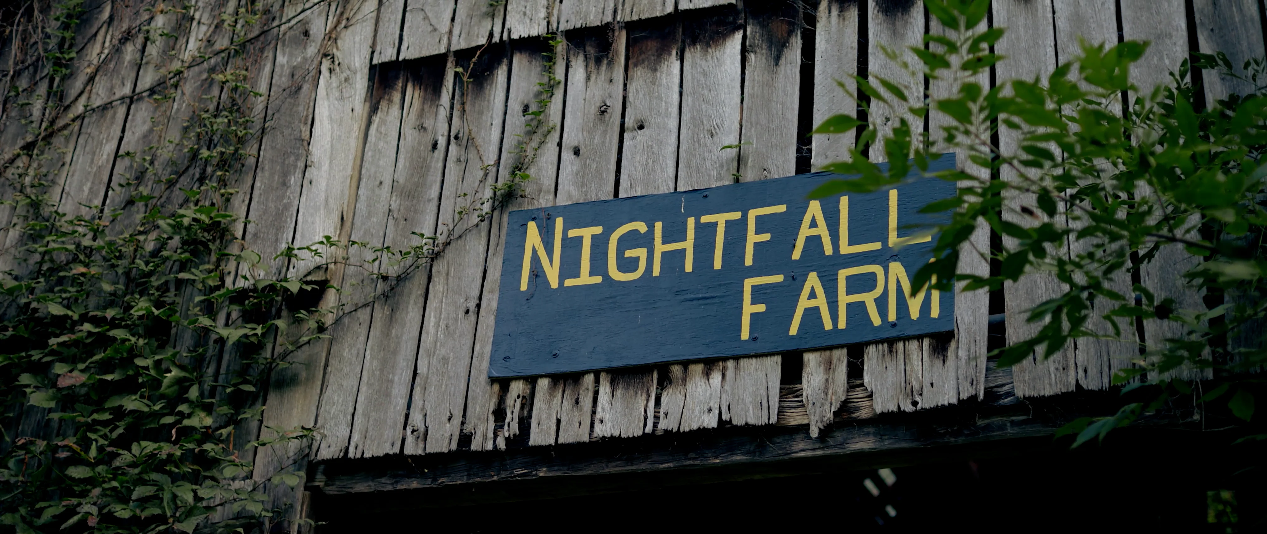Watch Nightfall Farm: A More Than Corn Story Online | Vimeo On Demand ...
