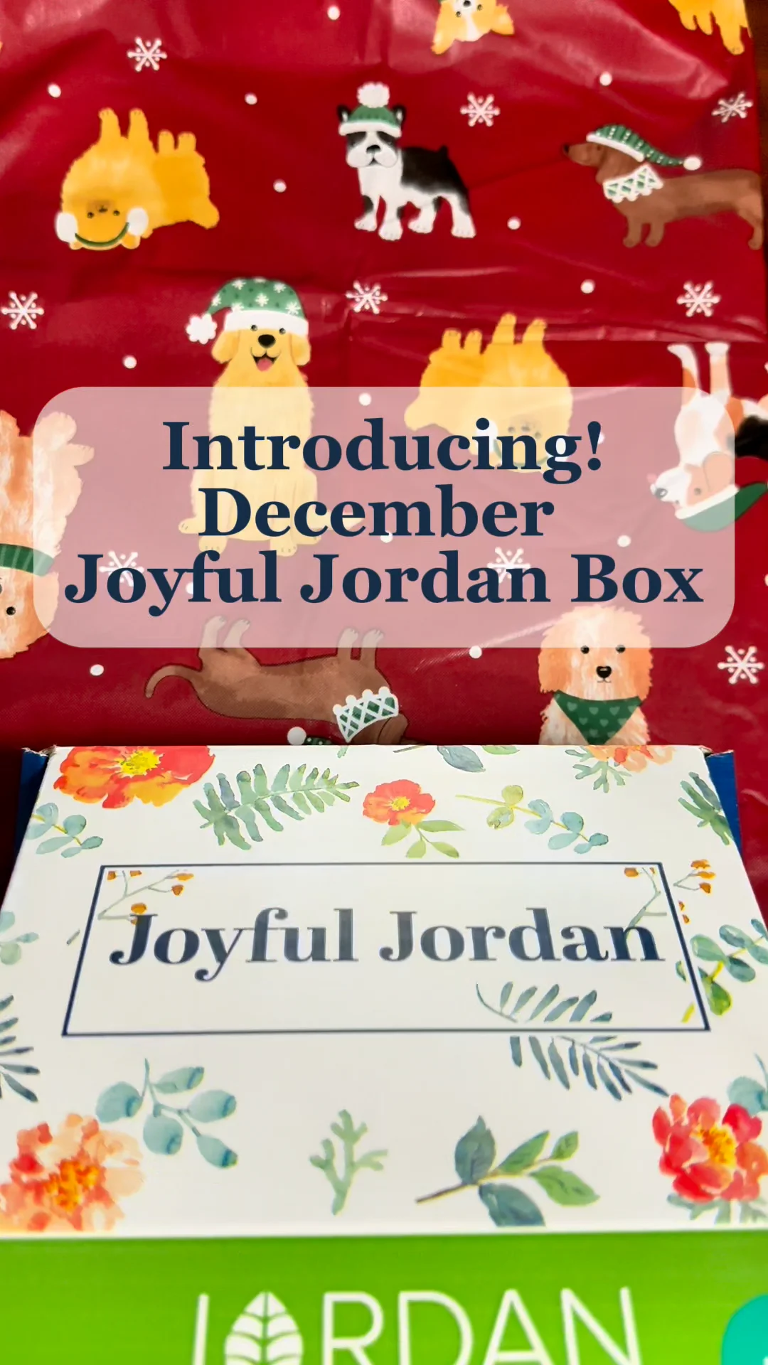 2024 December Joyful Jordan Box