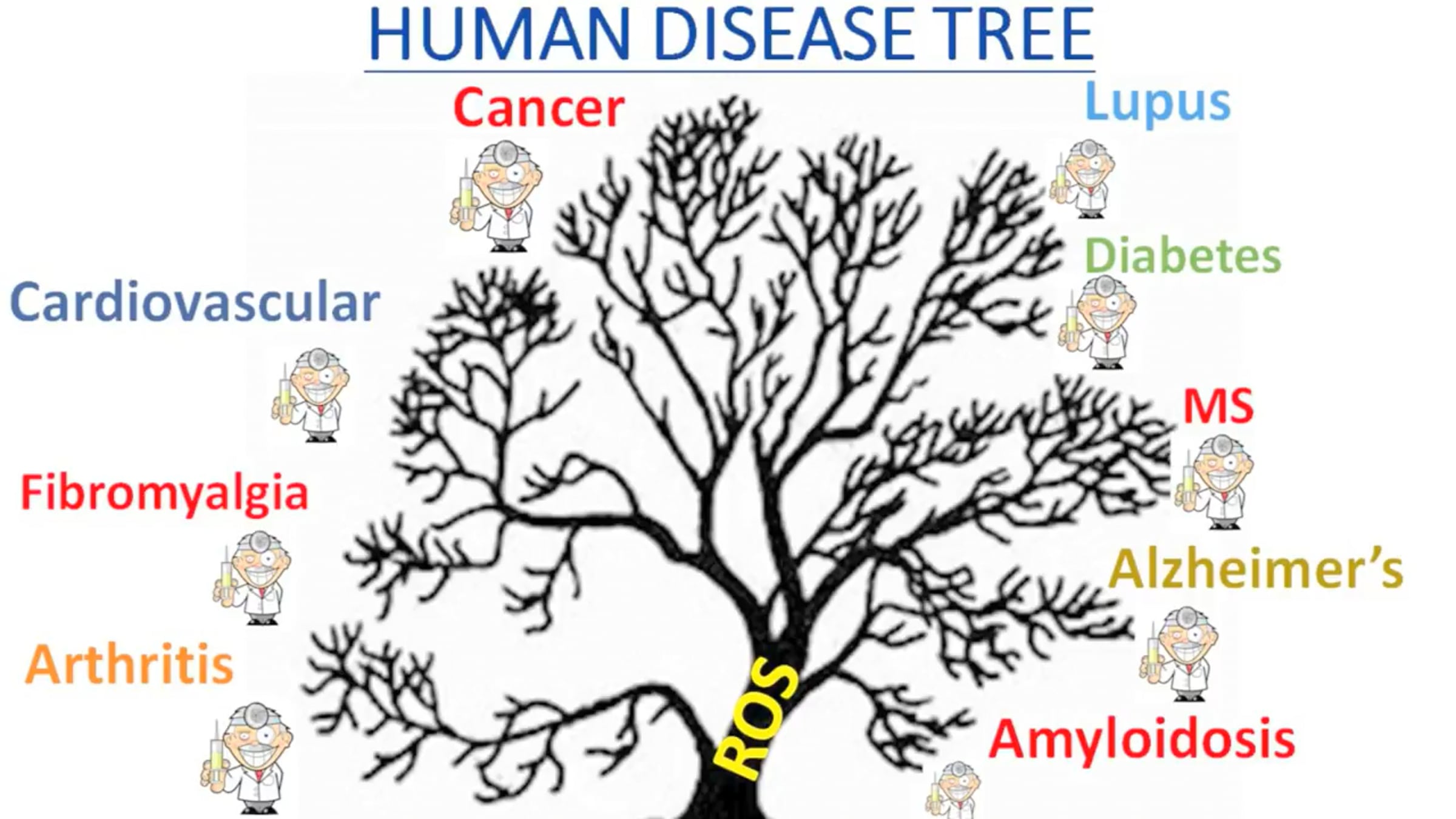ValAsta - Sam Shepherd explains ROS